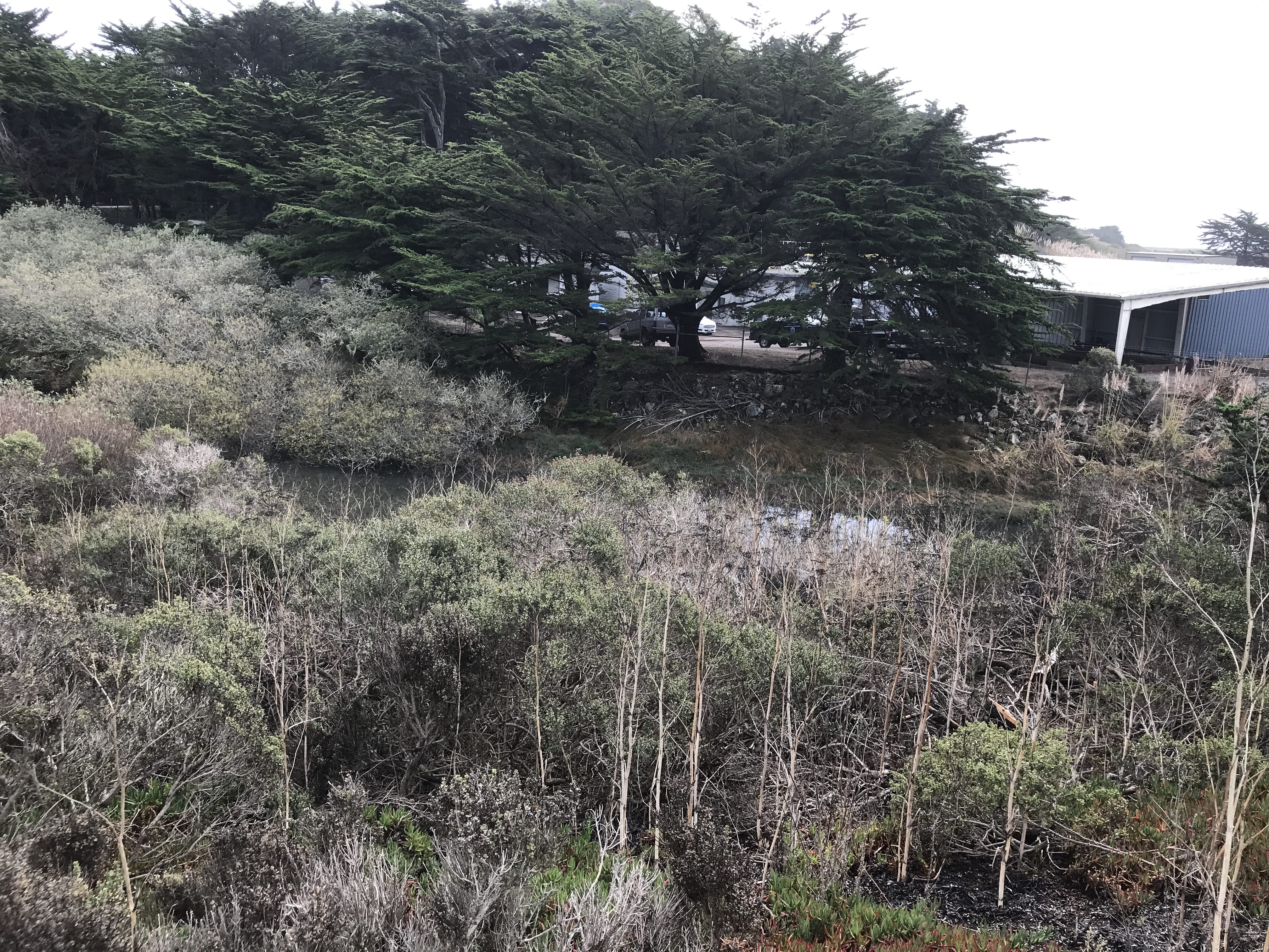 Cheny Gulch – 2 – Freestone Ranch