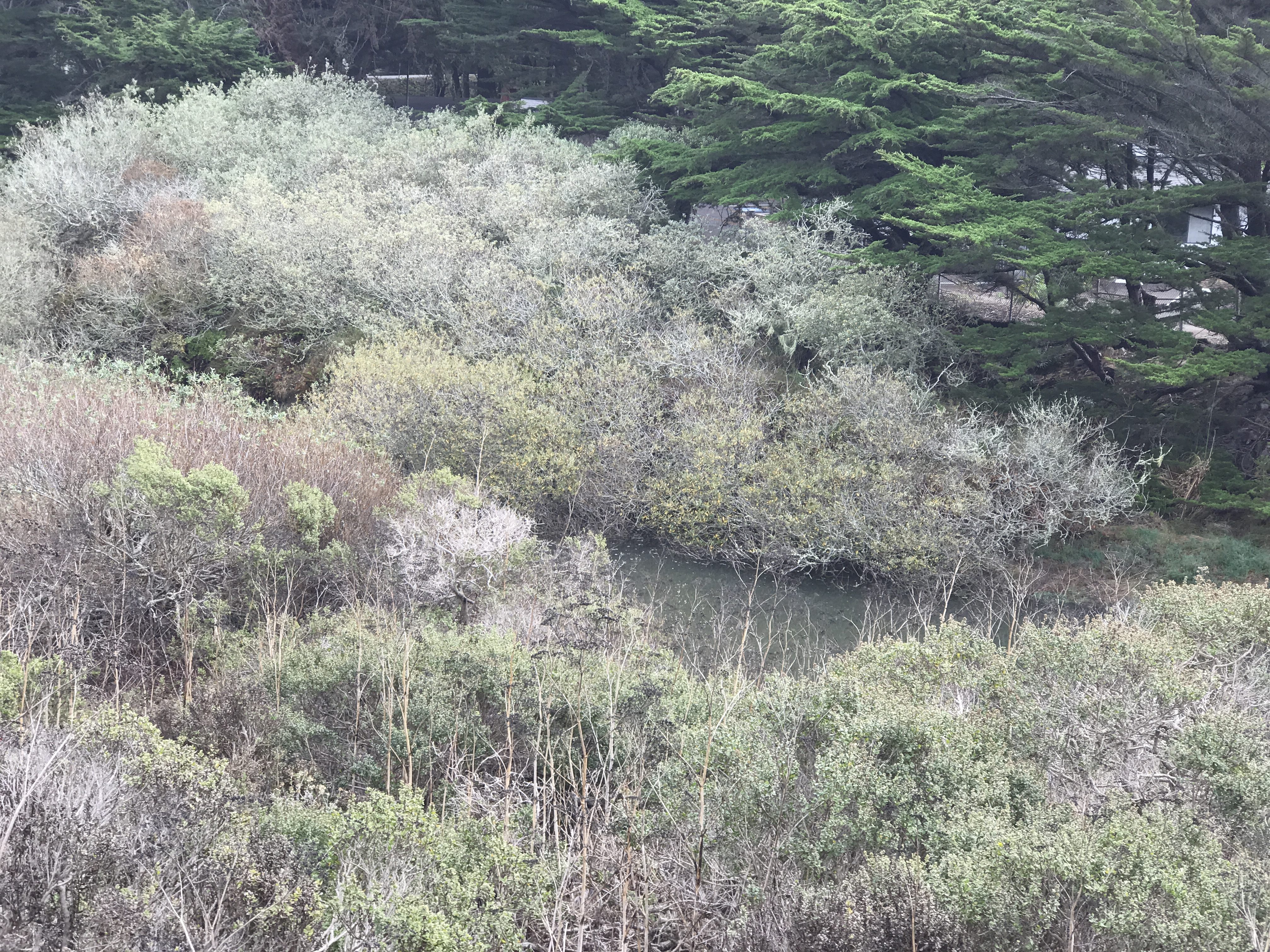 Cheny Gulch – 3 – Freestone Ranch