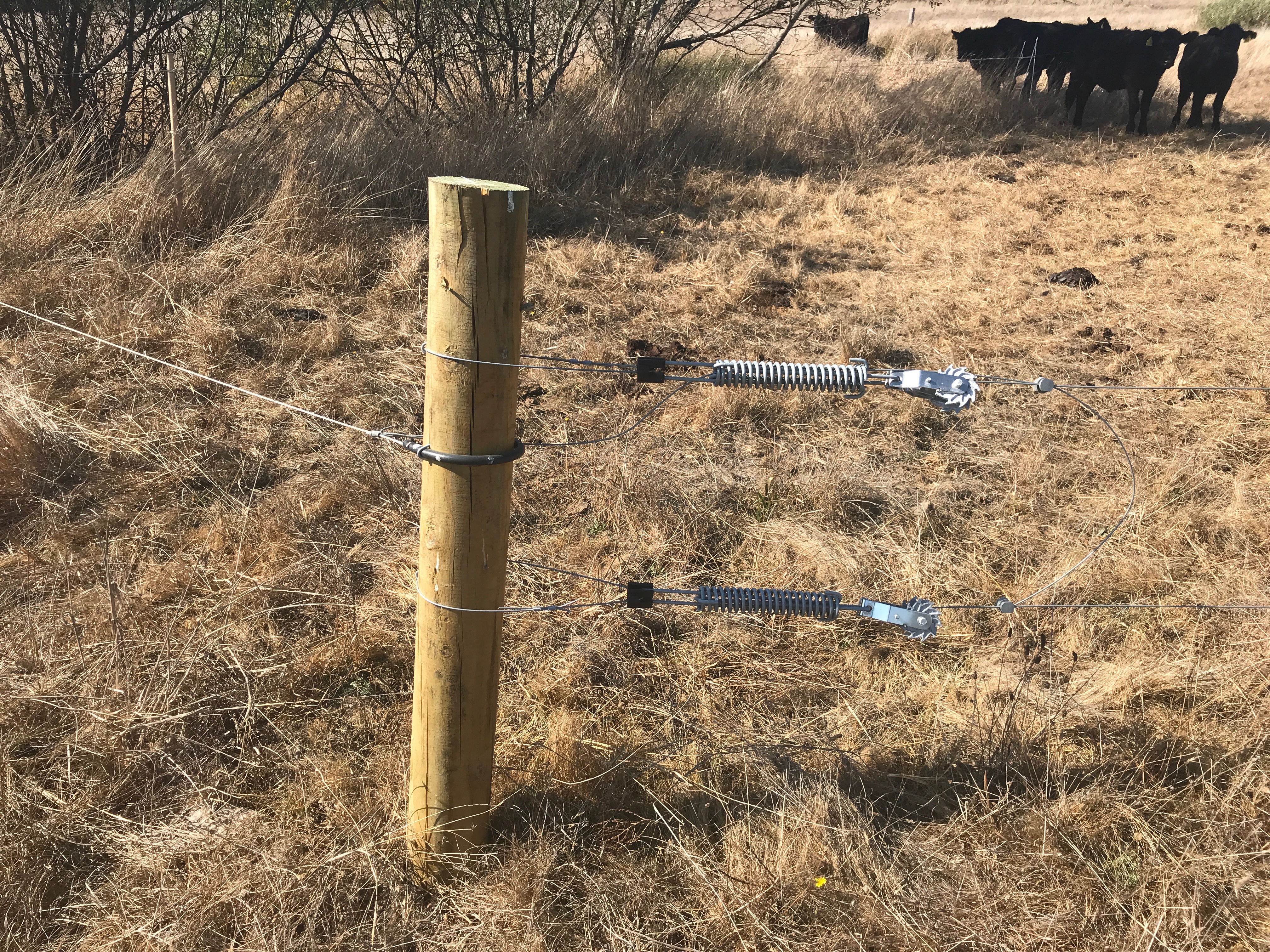 Fencing – 10 – Freestone Ranch