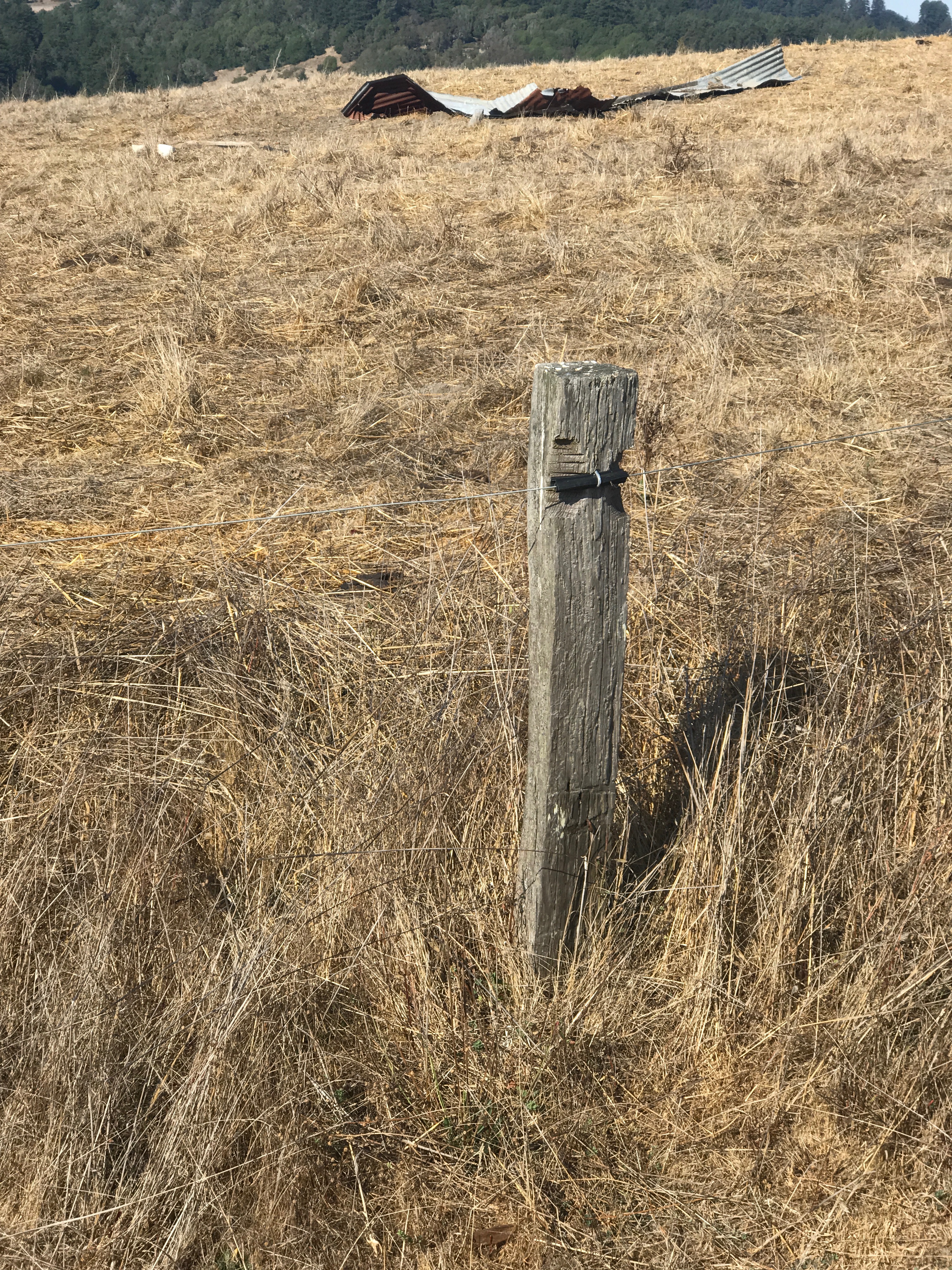 Fencing – Freestone Ranch