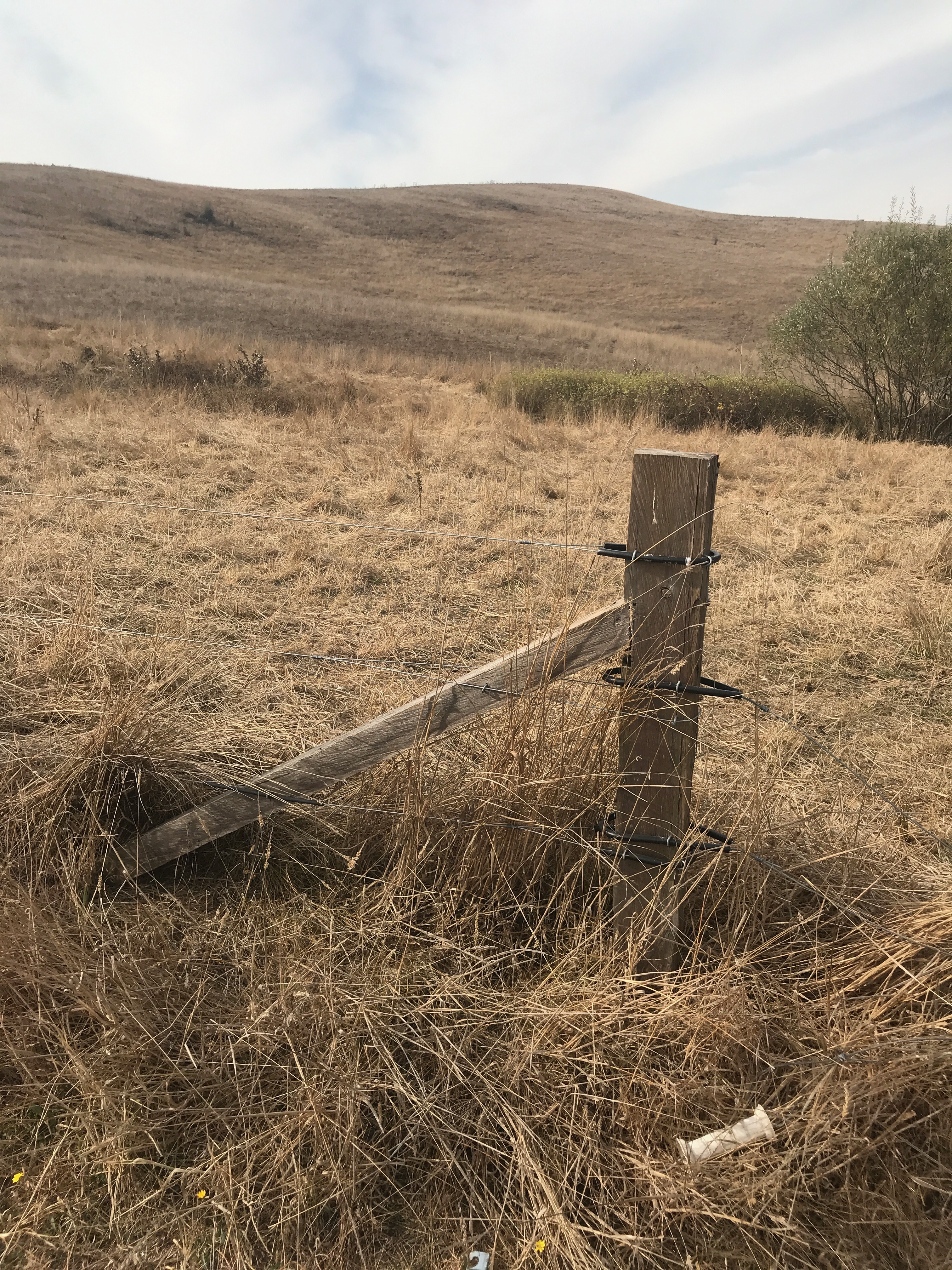 Fencing – Freestone Ranch