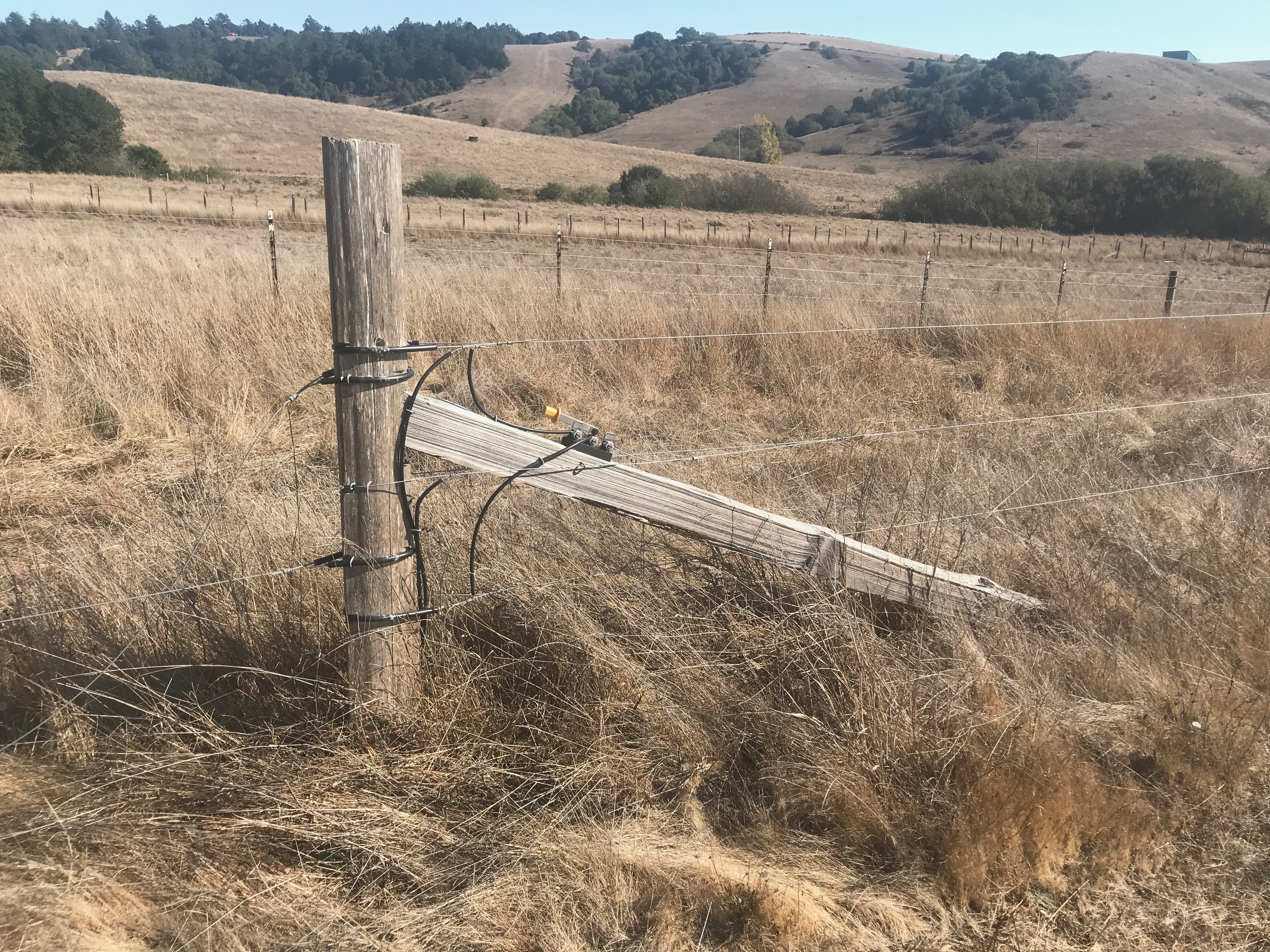 Fencing – Freestone Ranch