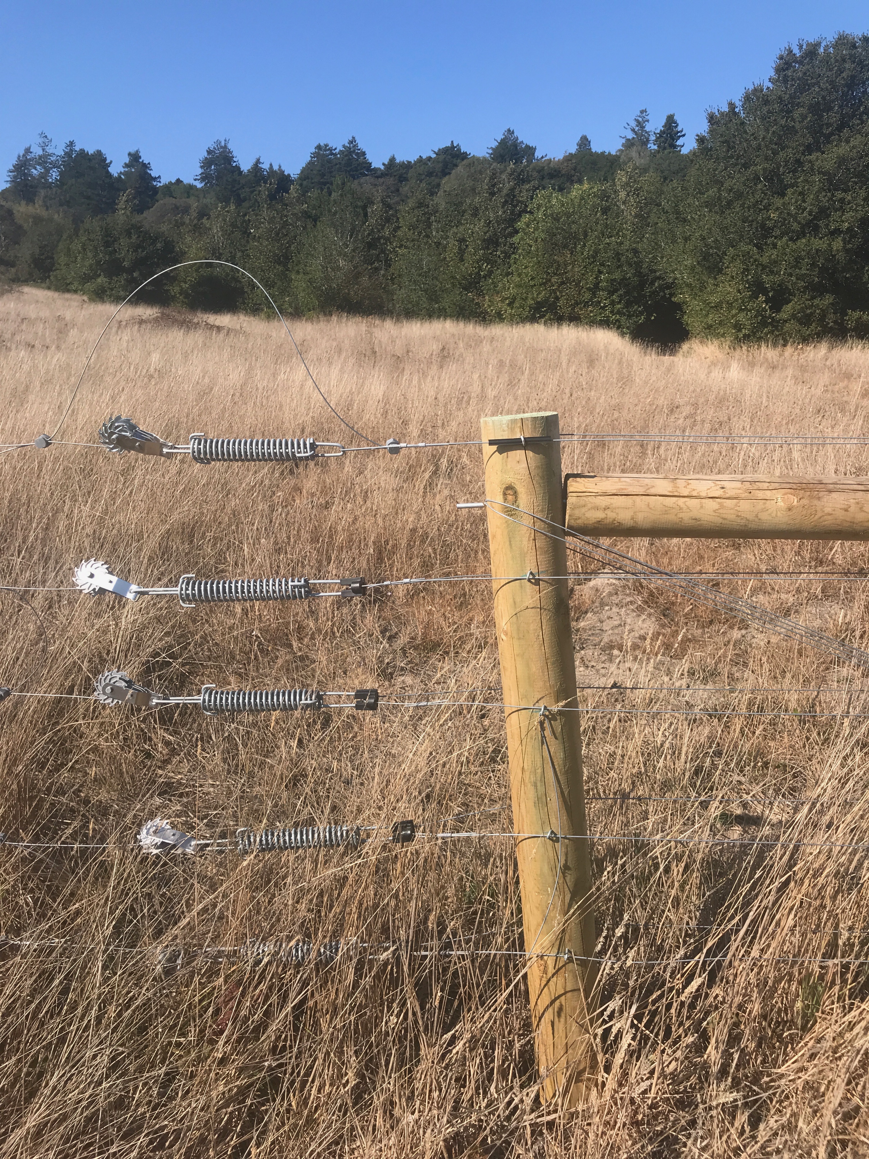 Fencing – Freestone Ranch