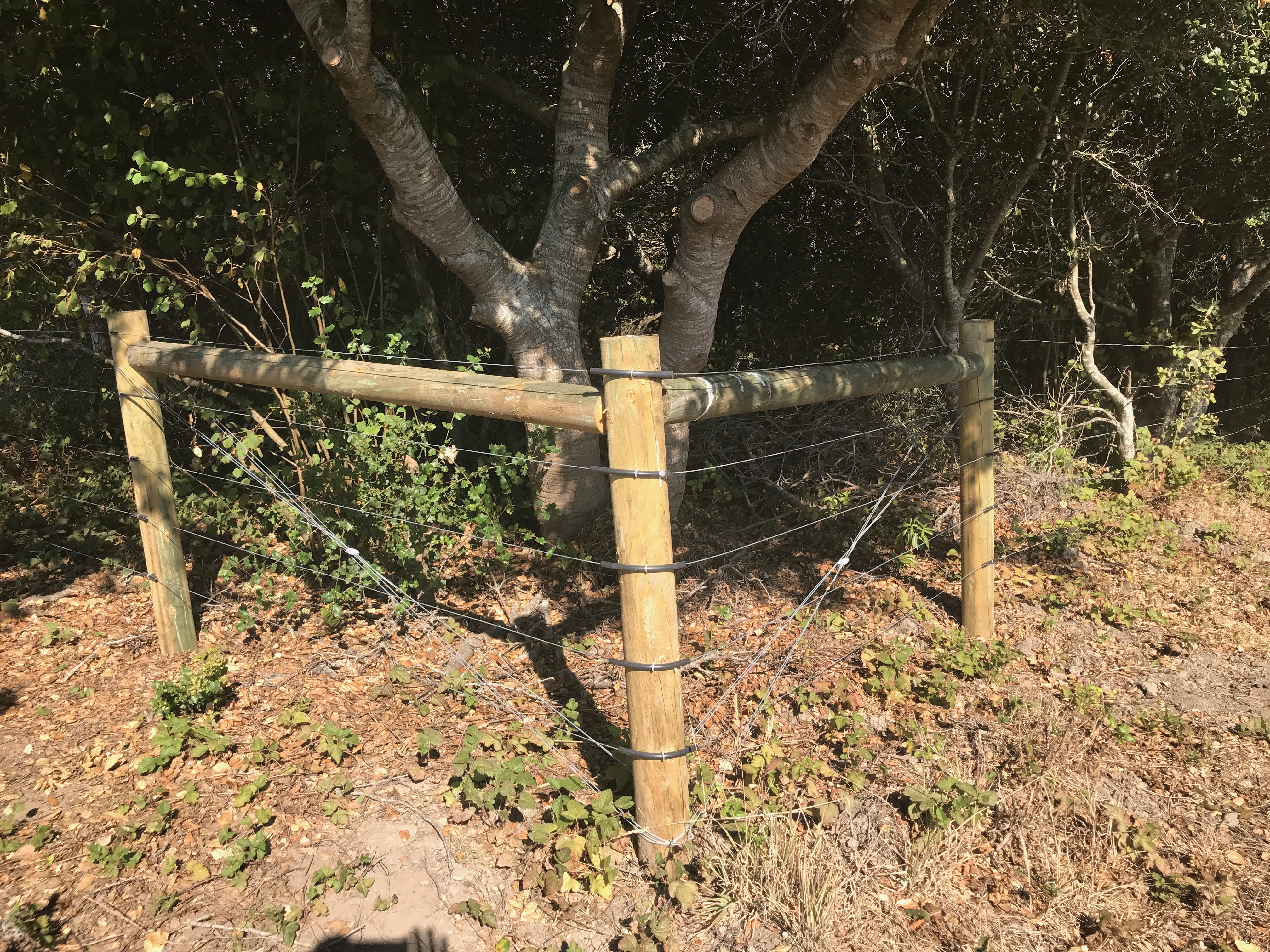 Fencing – Freestone Ranch