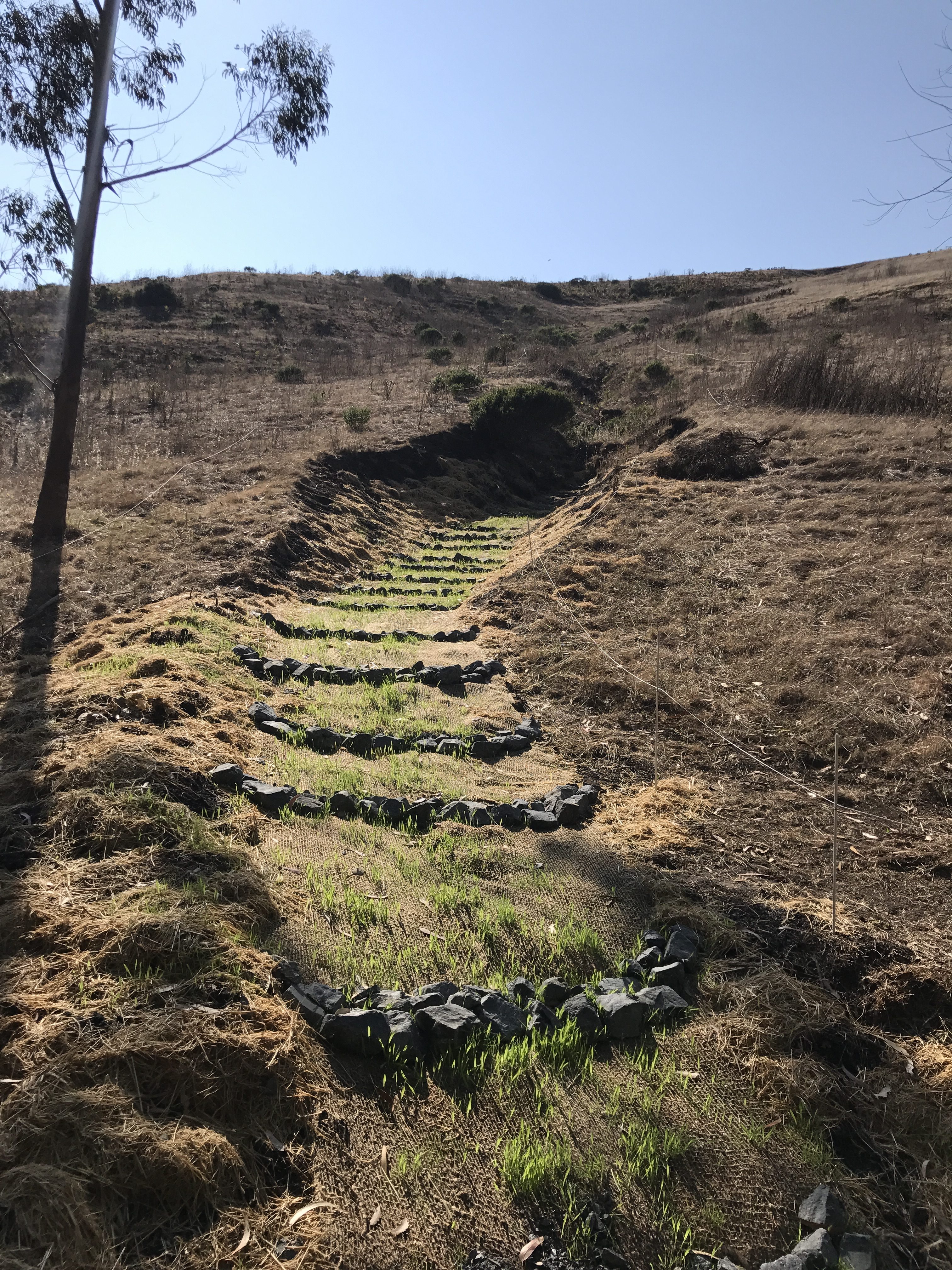 Bay Hill Ranch – Freestone Ranch