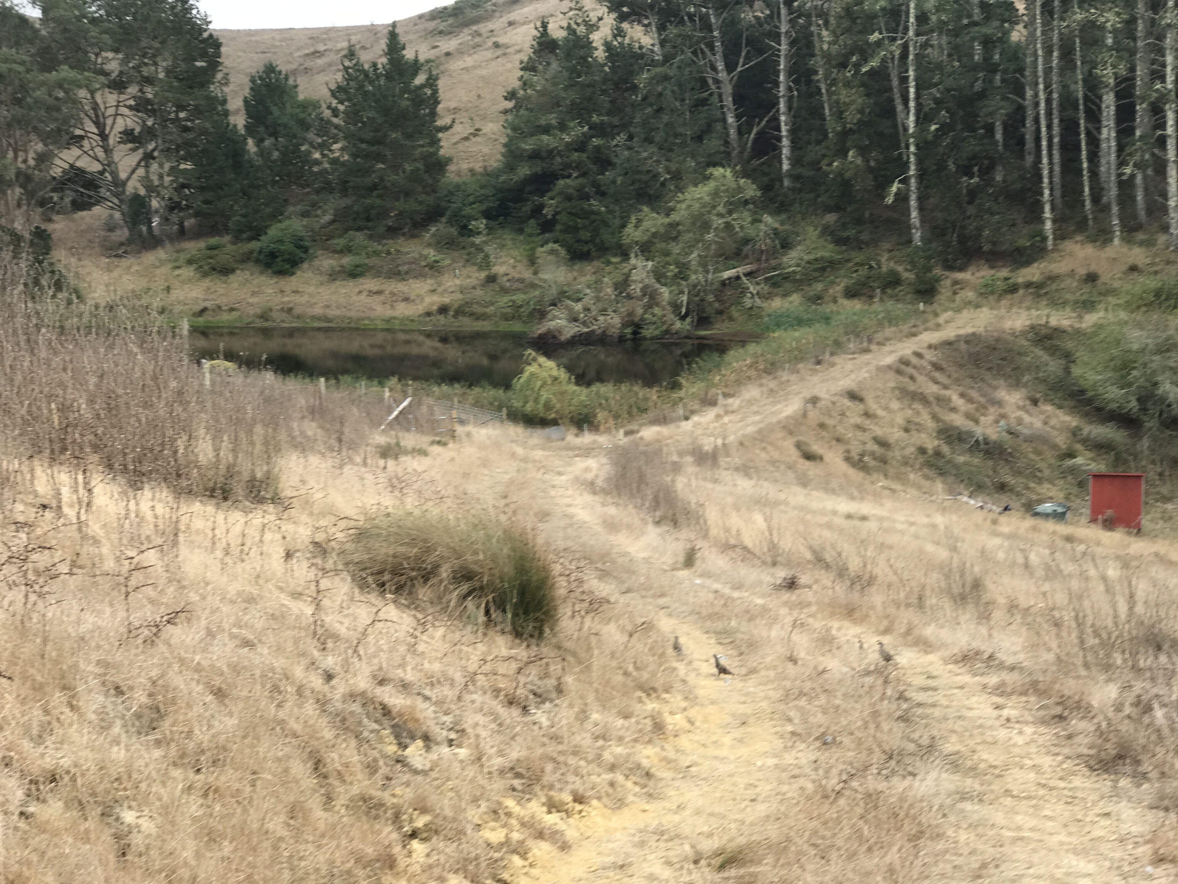 Bay Hill Ranch – Freestone Ranch