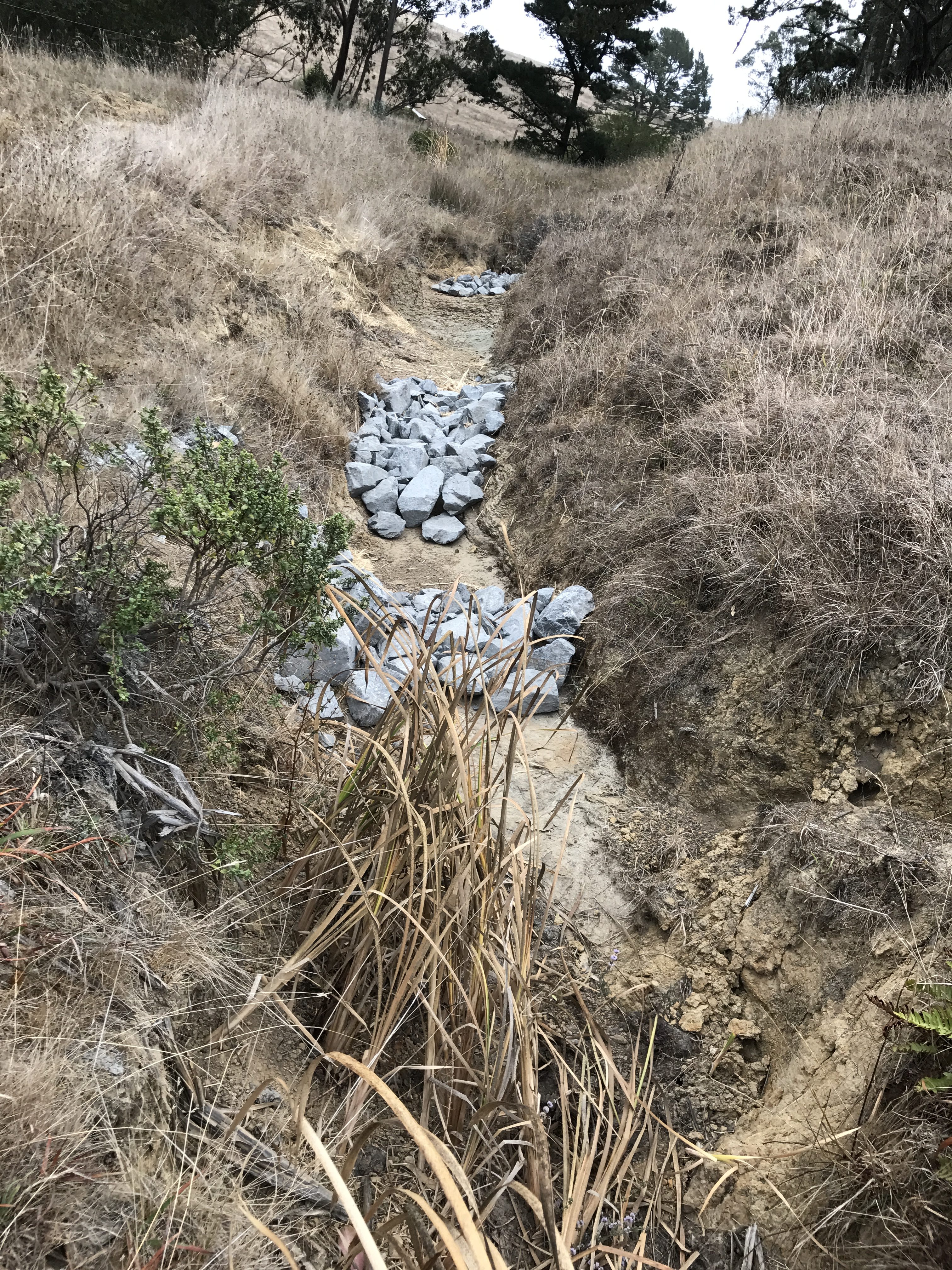 Bay Hill Ranch – Freestone Ranch