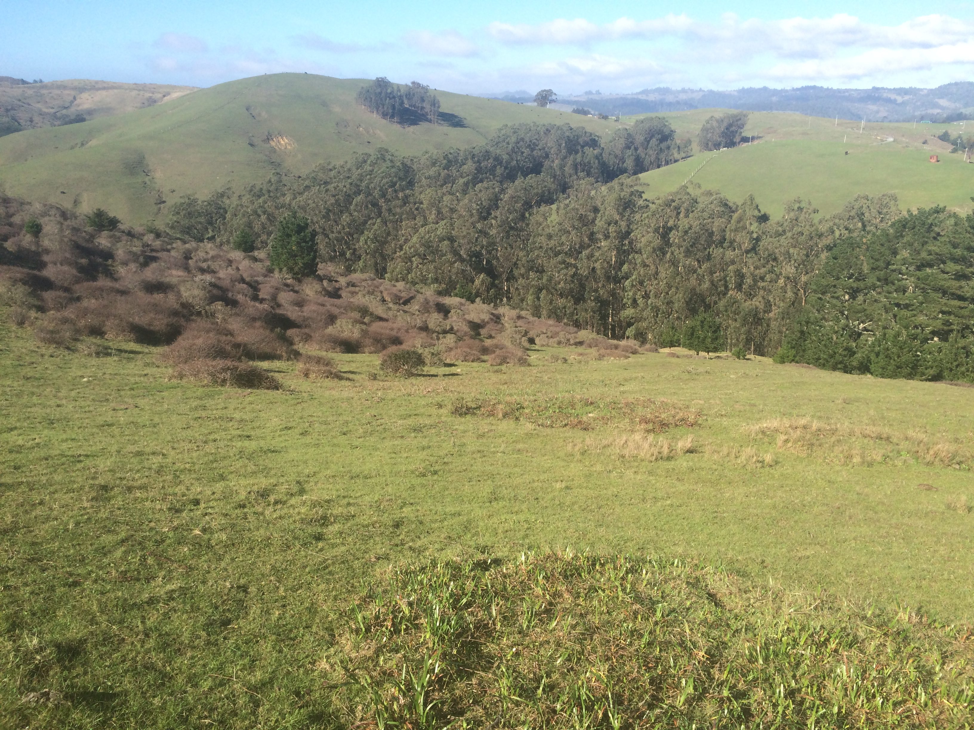 Bay Hill Ranch – Freestone Ranch