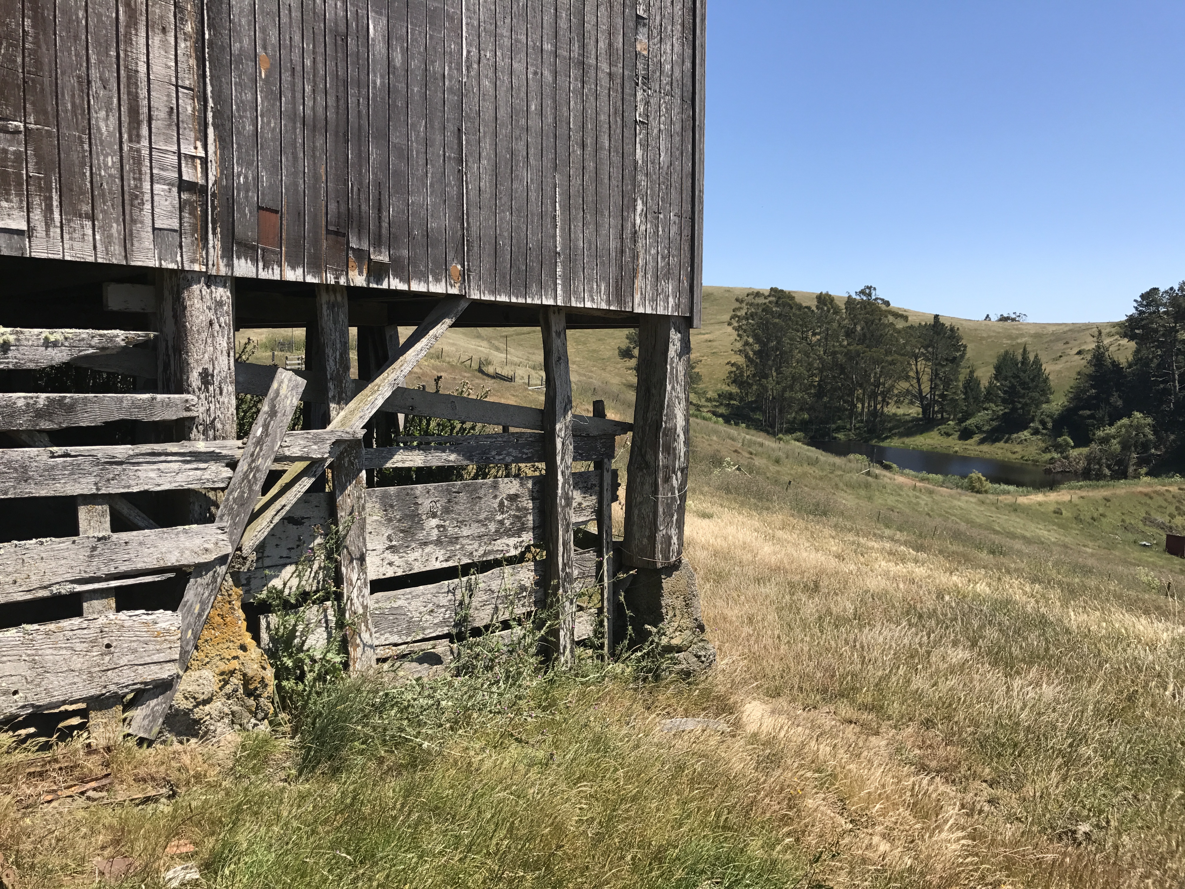 Bay Hill Ranch – Freestone Ranch