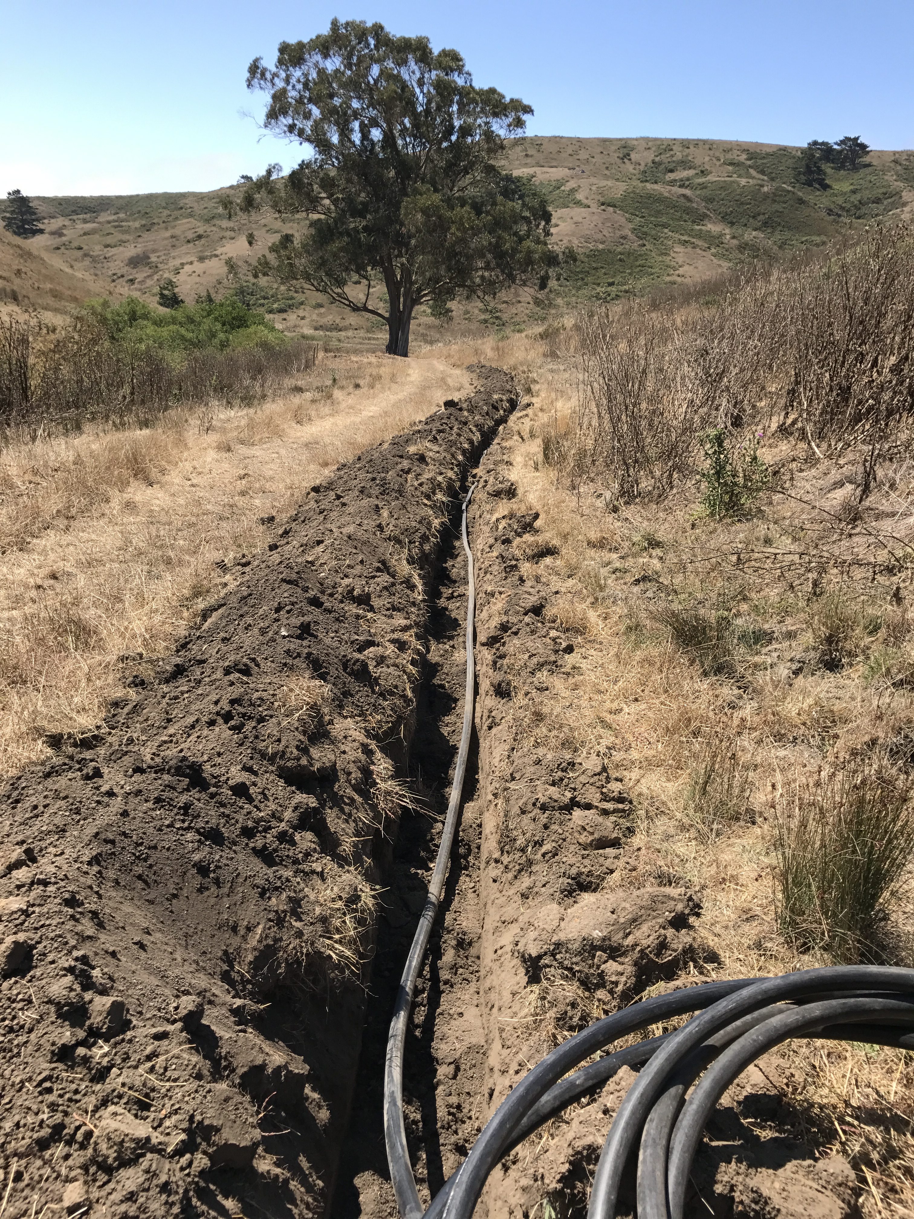 bayhill – 6 (1) – Freestone Ranch