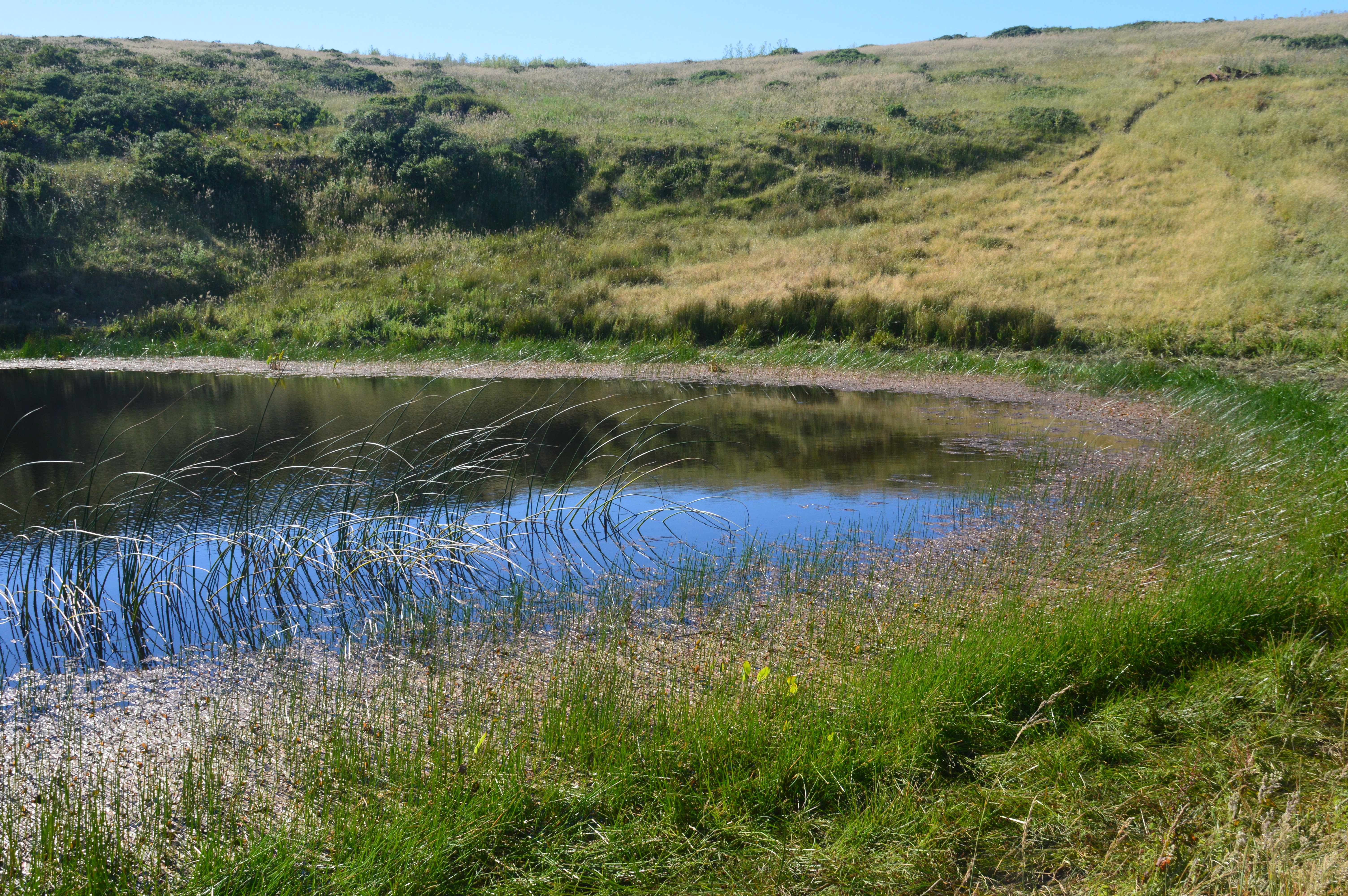 Hill pond – Freestone Ranch