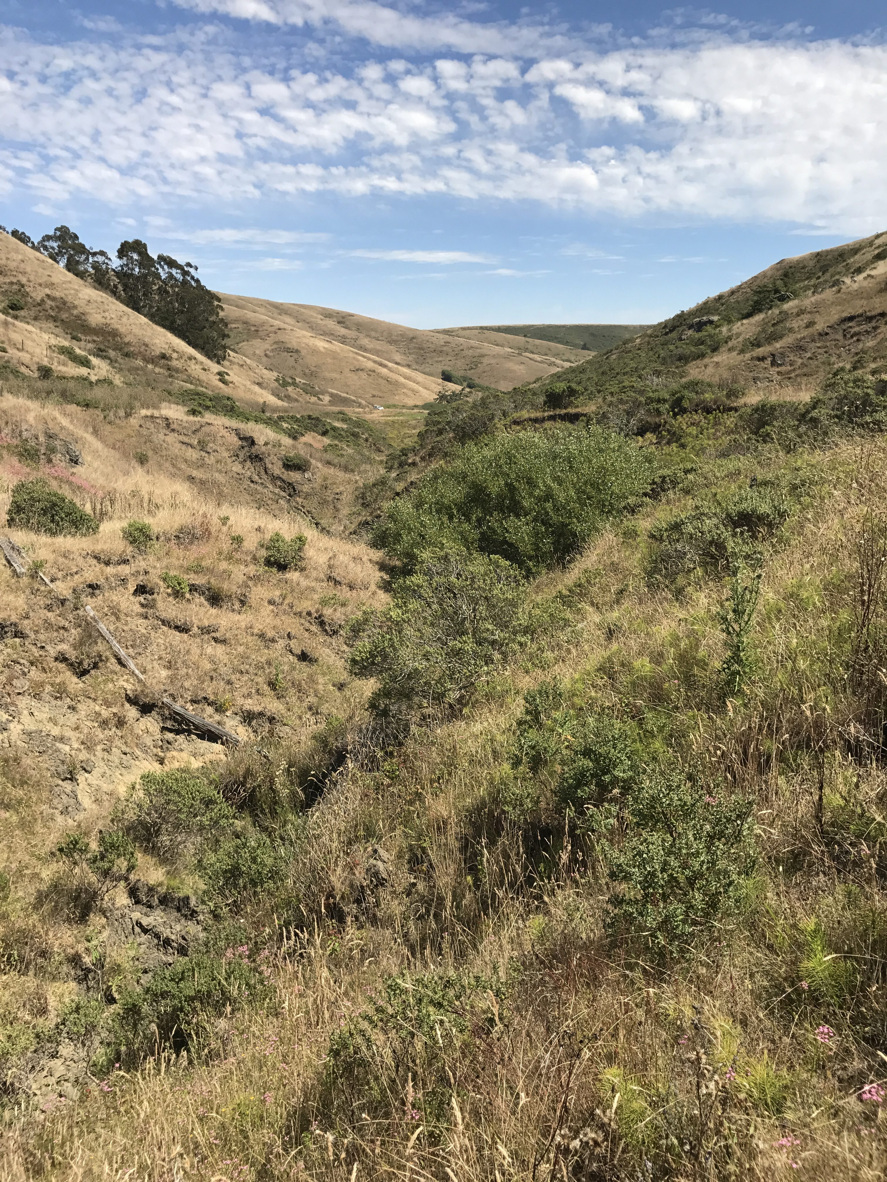 Bay Hill Ranch – Freestone Ranch