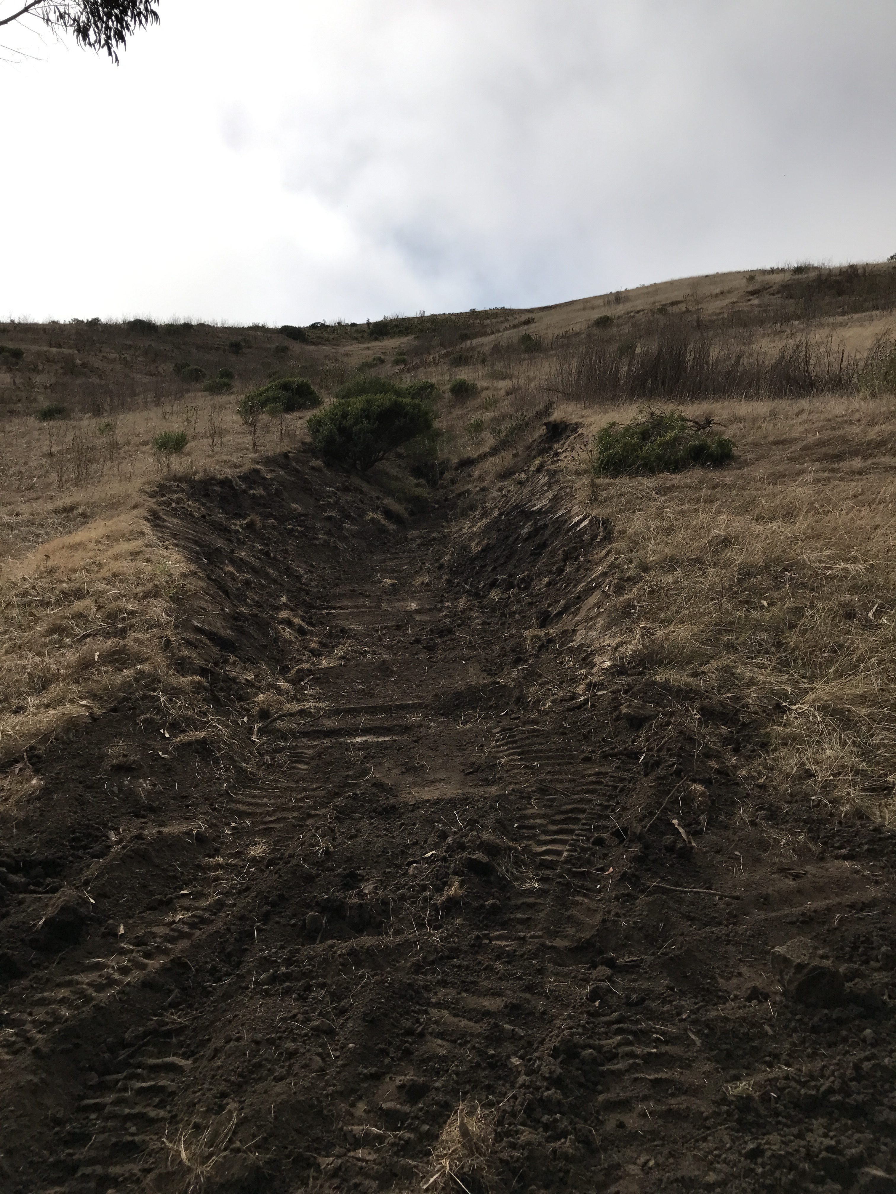 bayhill gully – 2 – Freestone Ranch