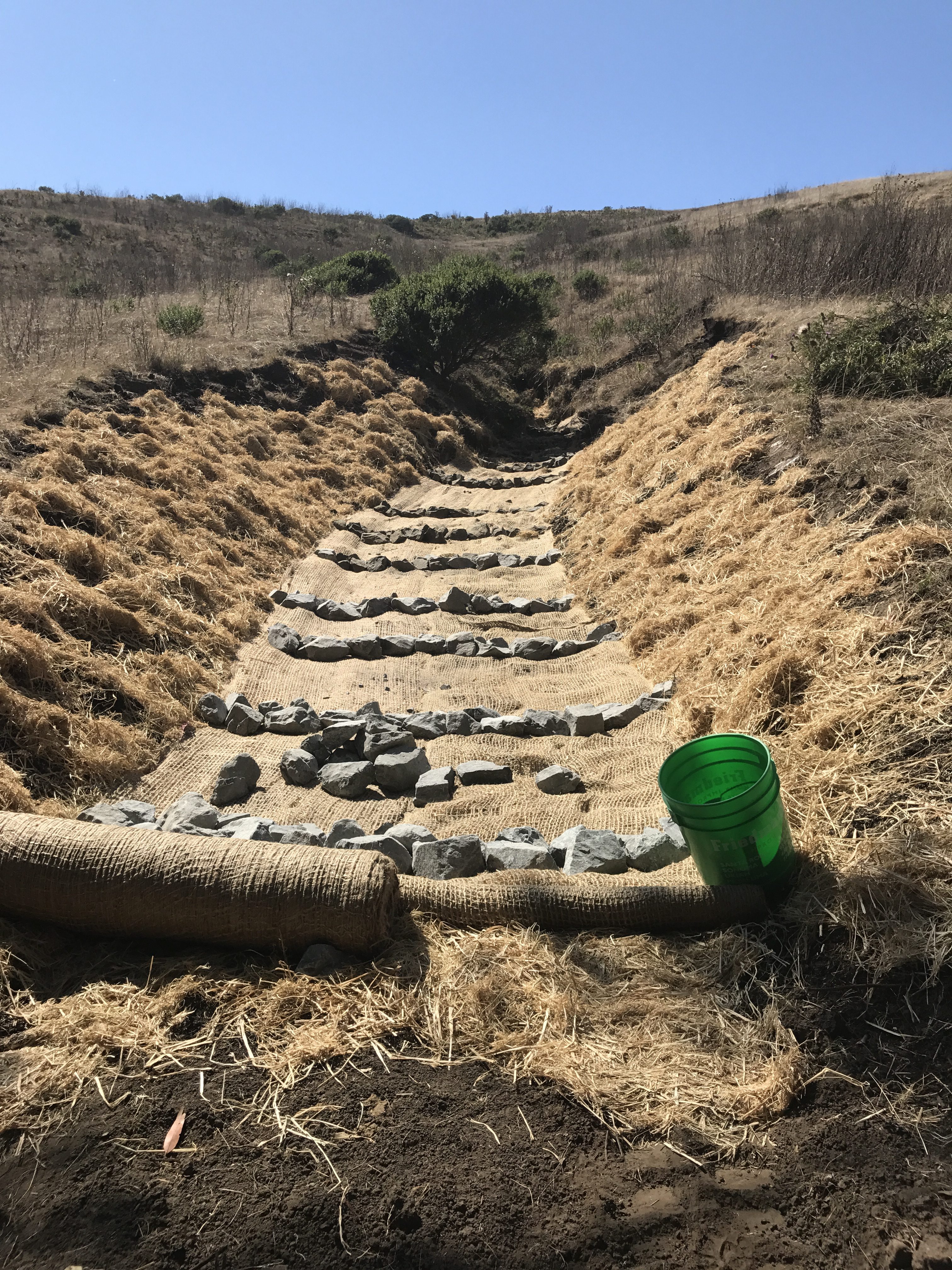 bayhill gully – 5 – Freestone Ranch