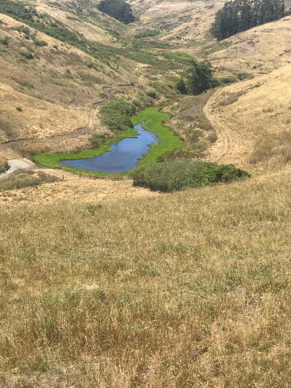 gnab – 10 – Freestone Ranch