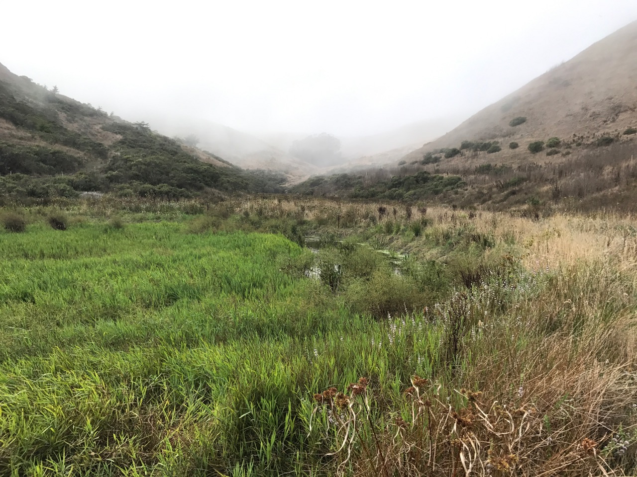 gnab – 20 – Freestone Ranch