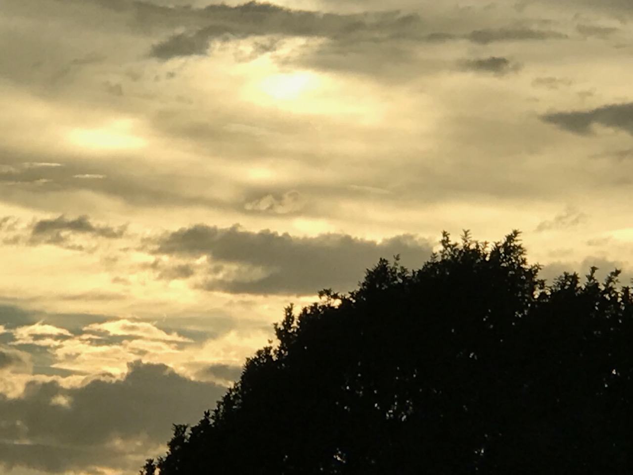 gnab – 21 – Freestone Ranch