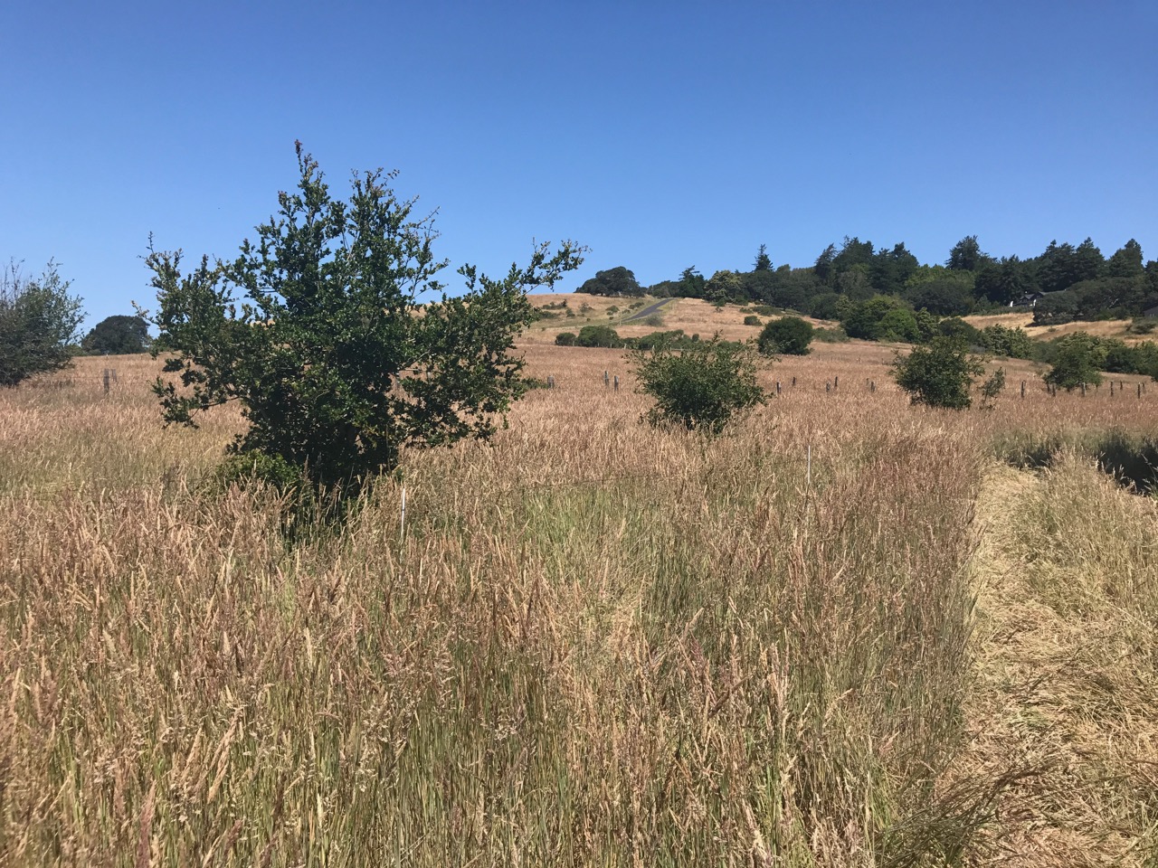 gnab – 6 – Freestone Ranch