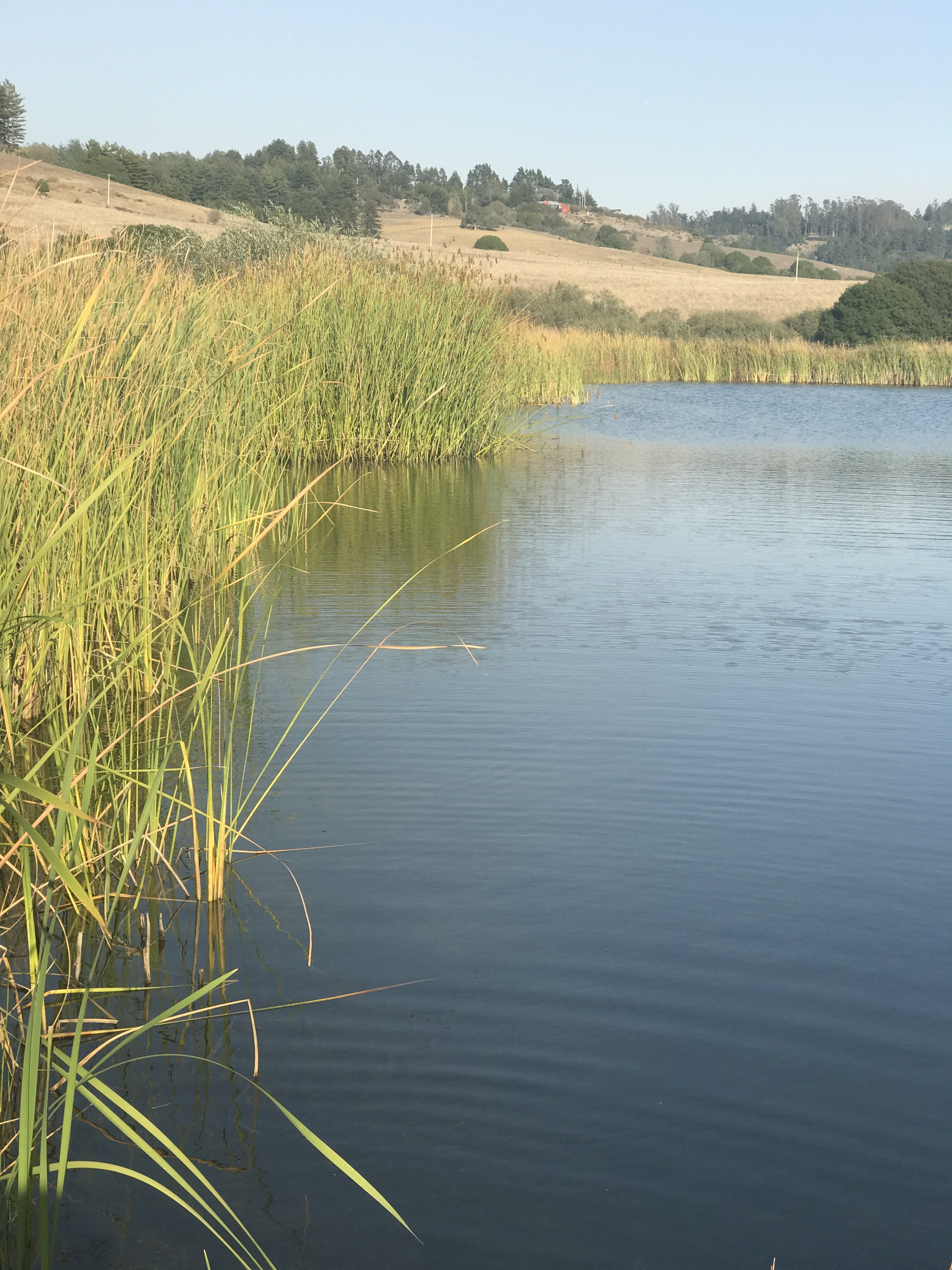 pondconstruction – 1 (1) – Freestone Ranch