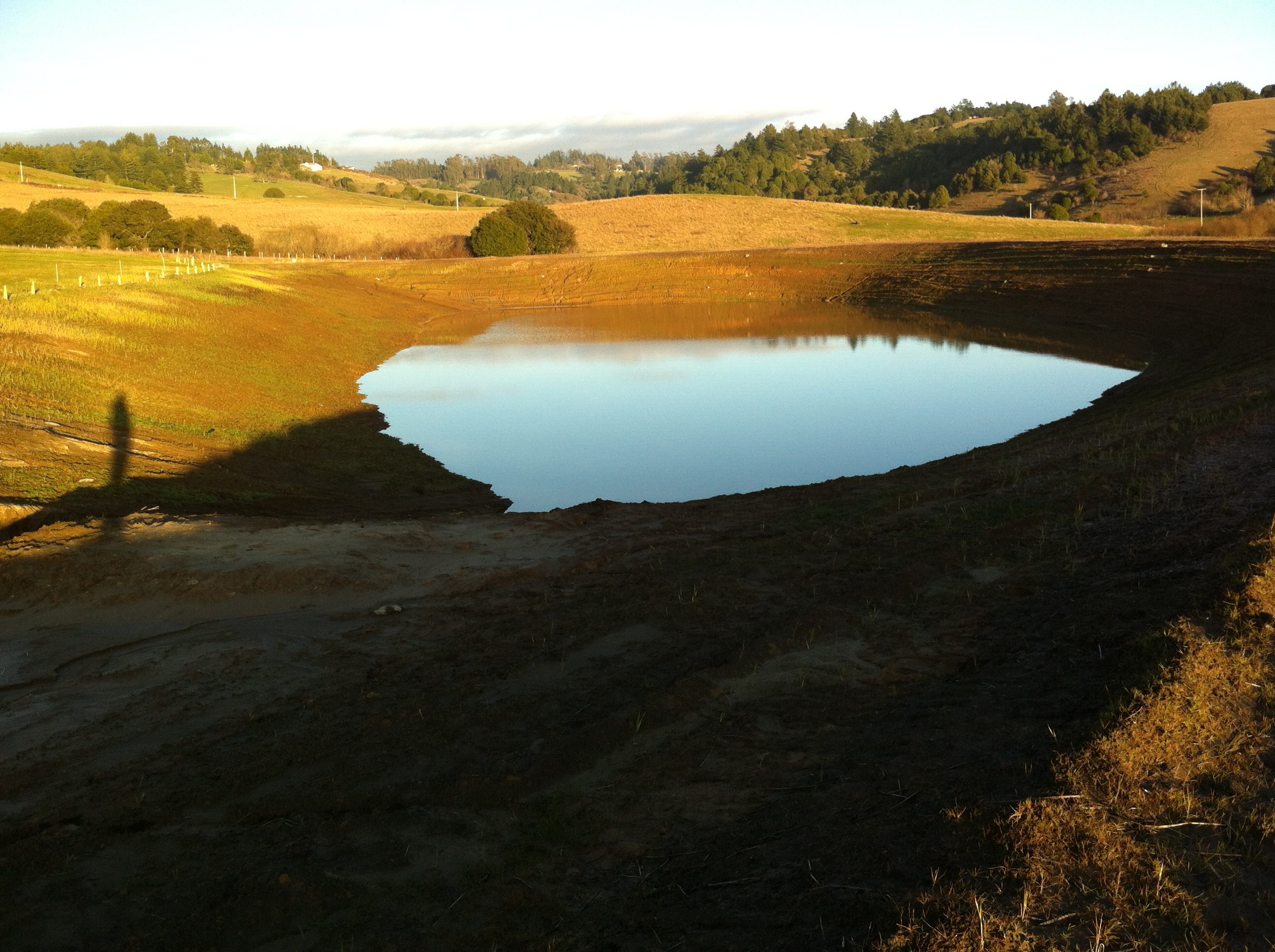 Pond Construction – Freestone Ranch