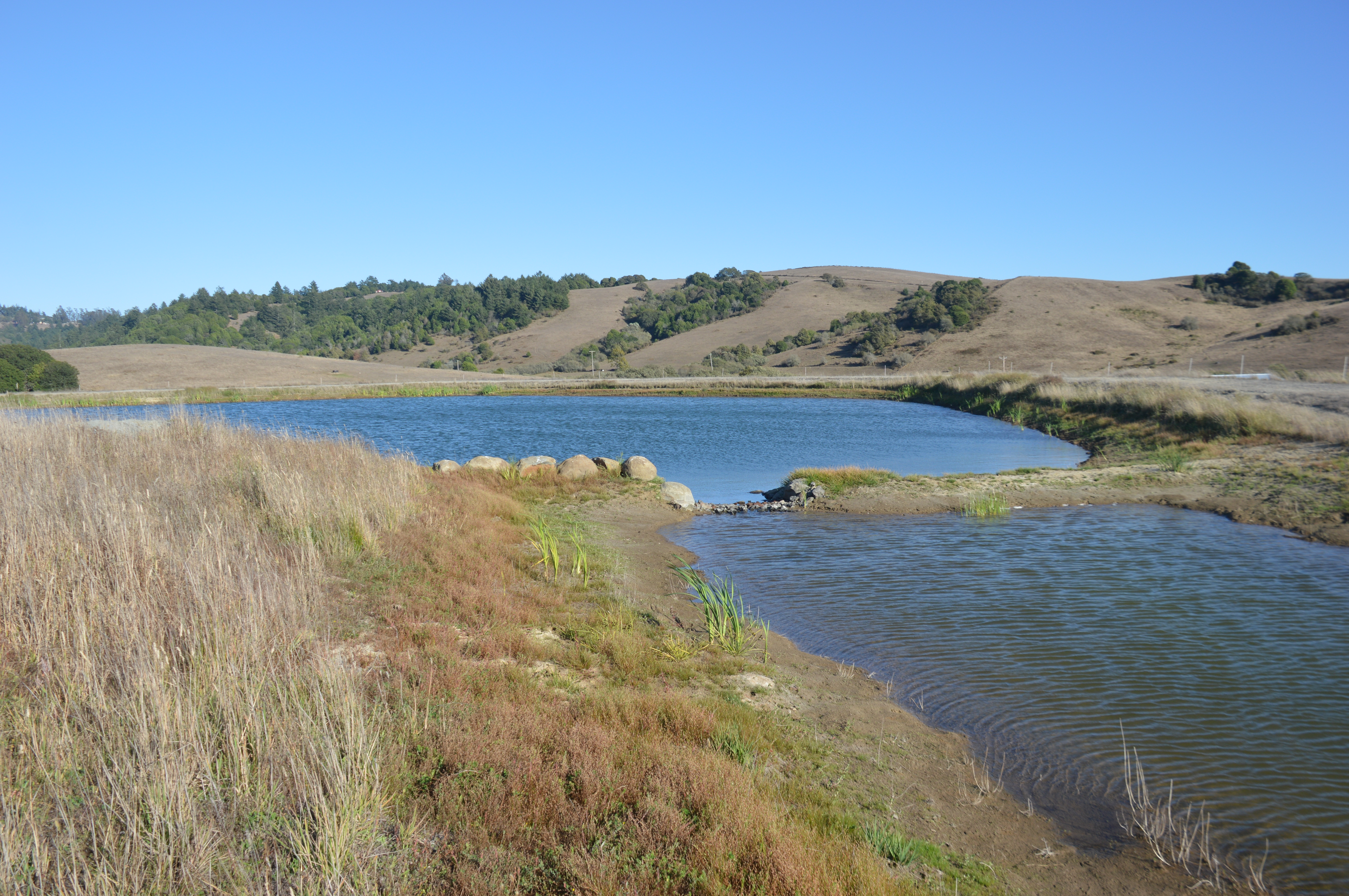 Pond Construction – Freestone Ranch