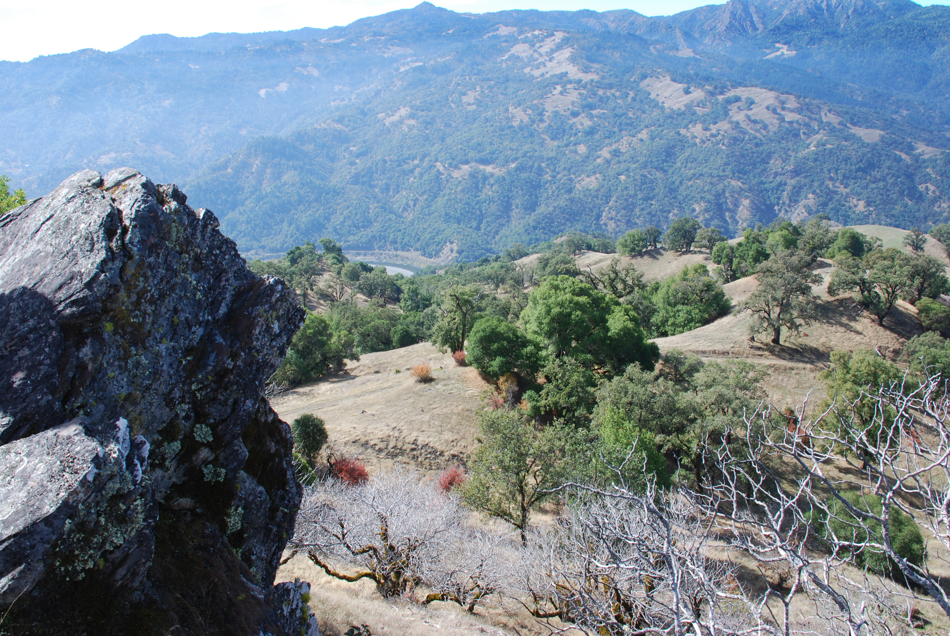 Rock – Freestone Ranch