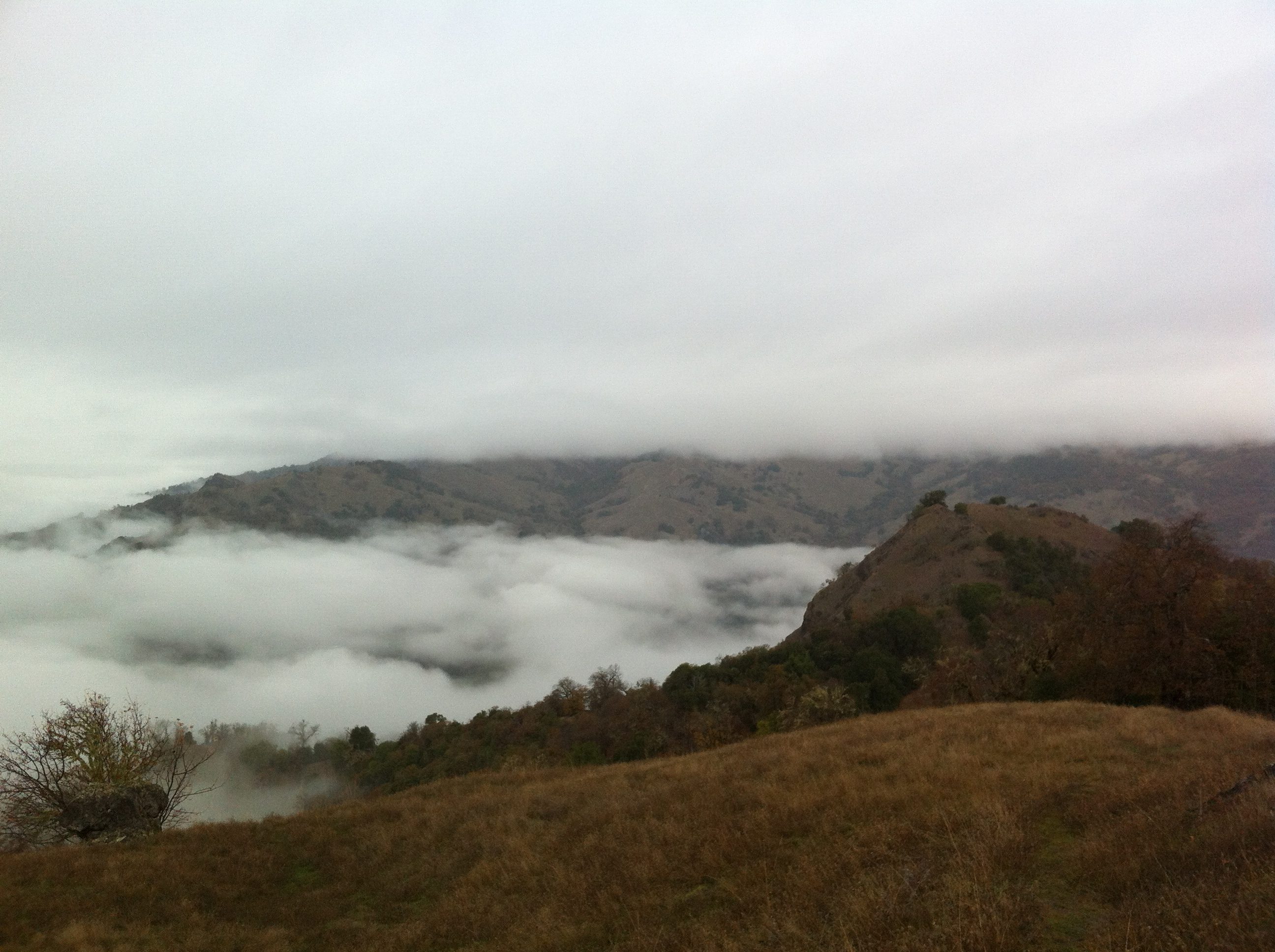 River Ranch – Freestone Ranch