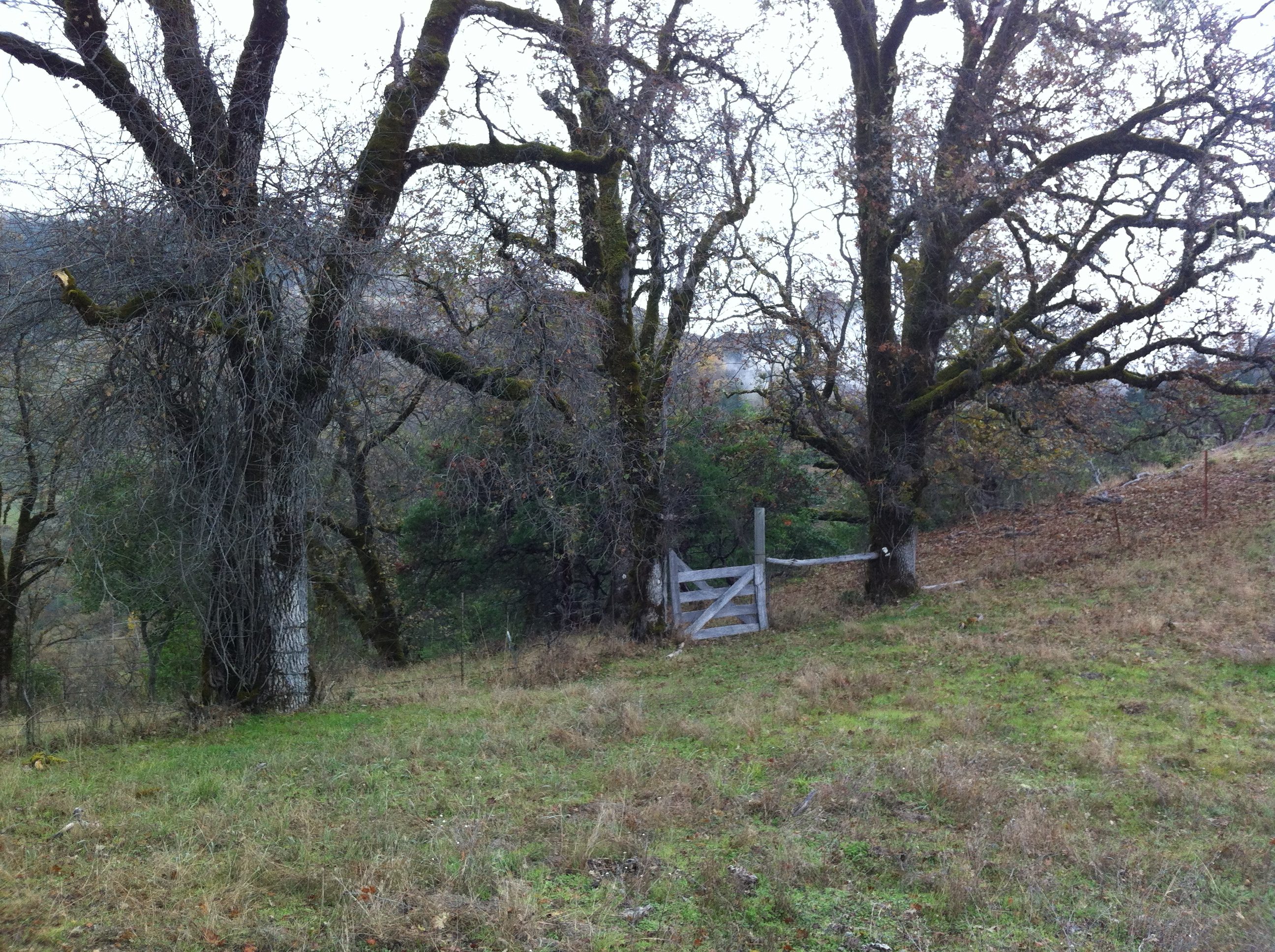 River Ranch – Freestone Ranch