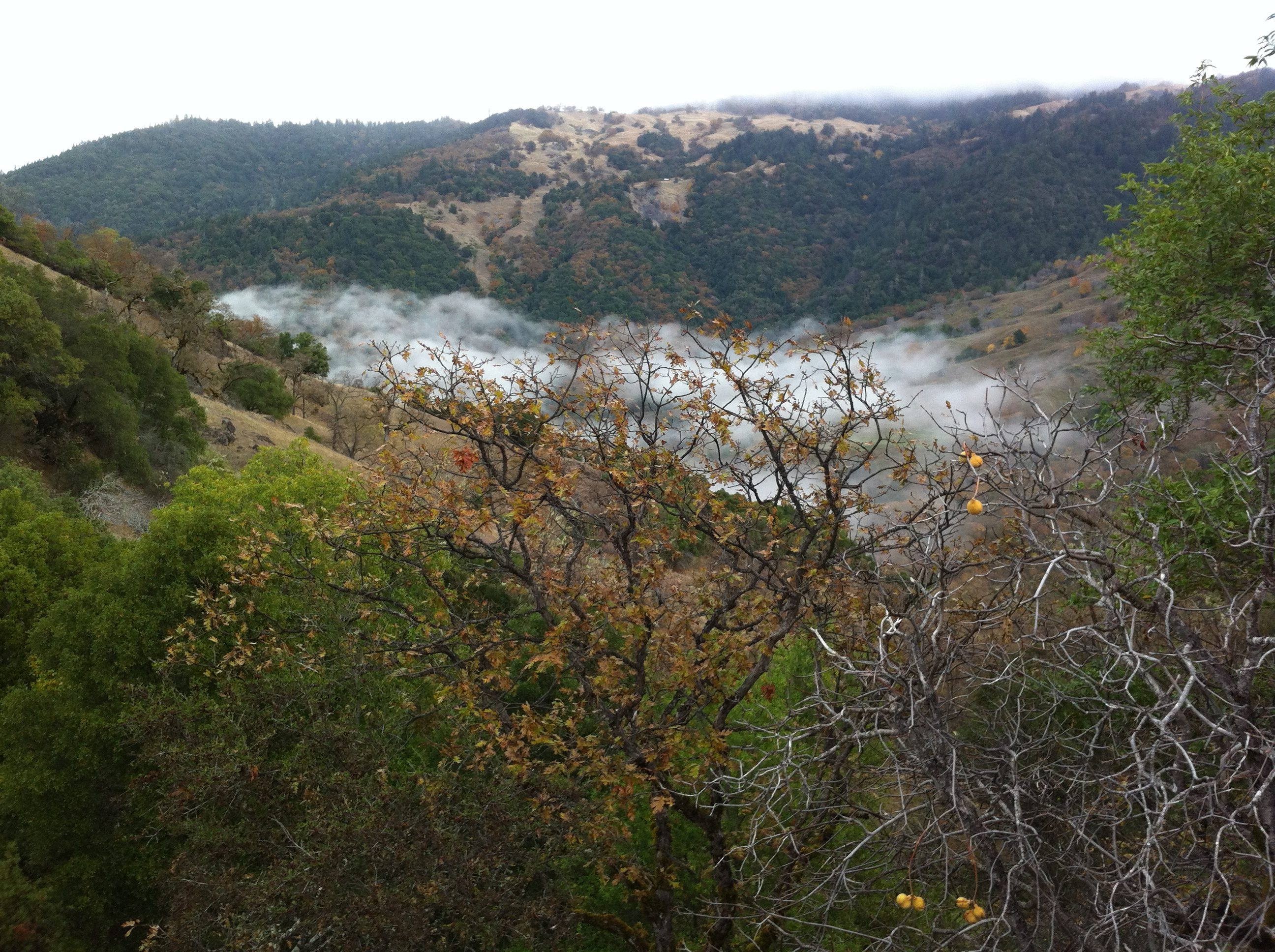 River Ranch – Freestone Ranch