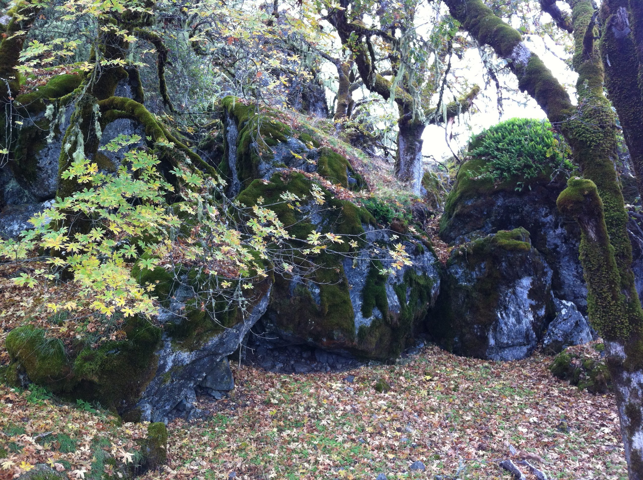 River Ranch – Freestone Ranch