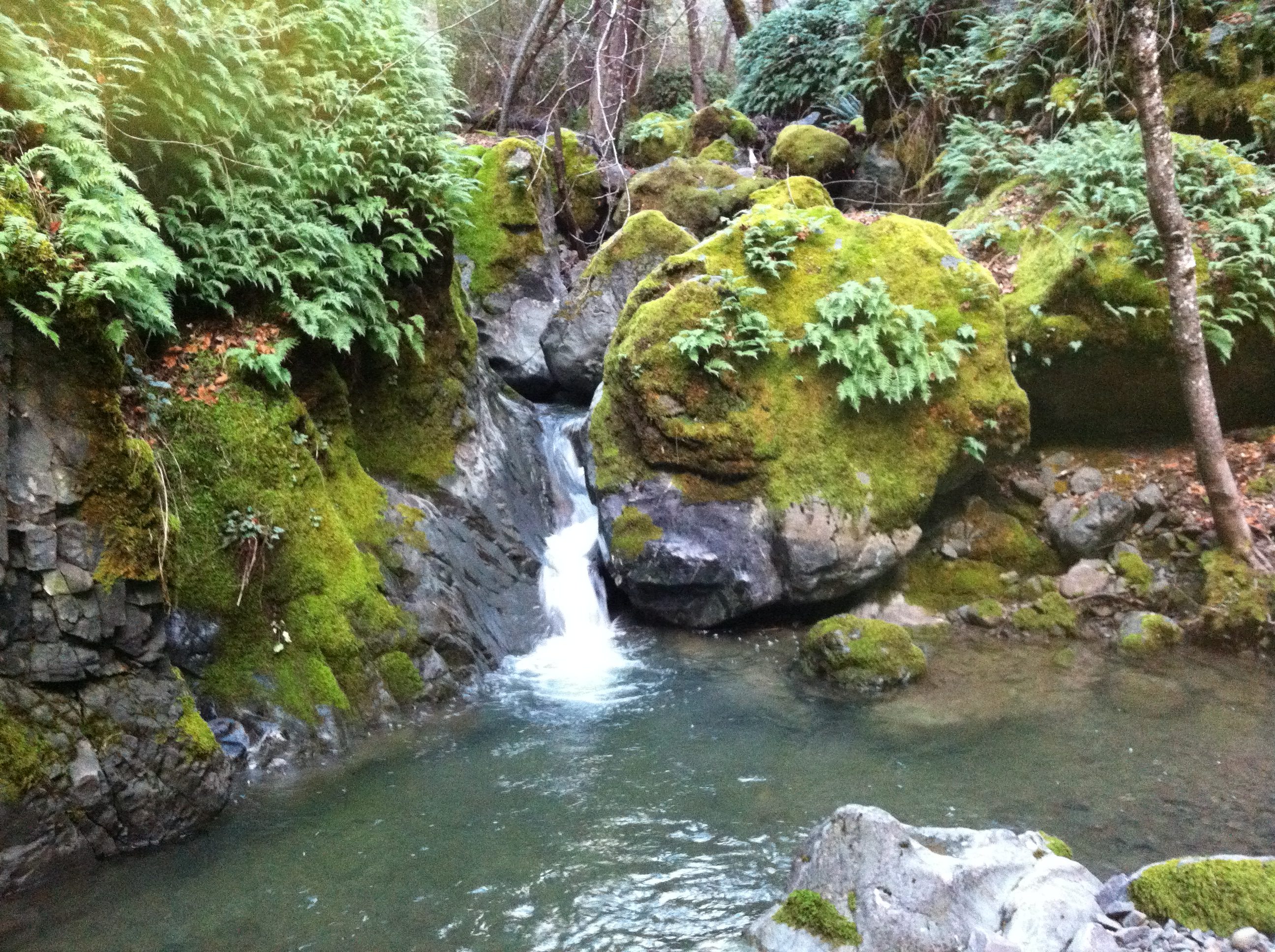 River Ranch – Freestone Ranch