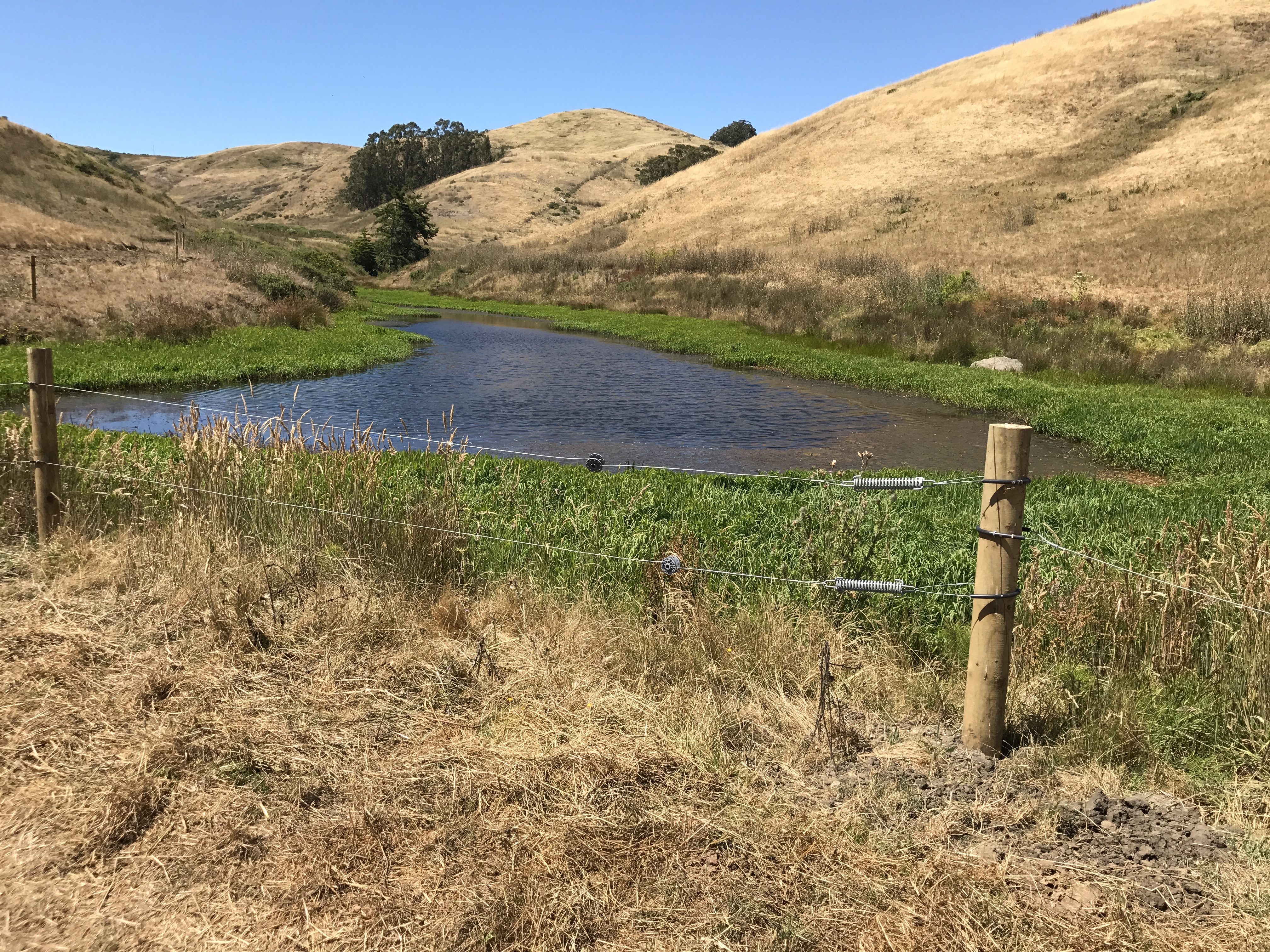 Sedimentation Ponds – Freestone Ranch