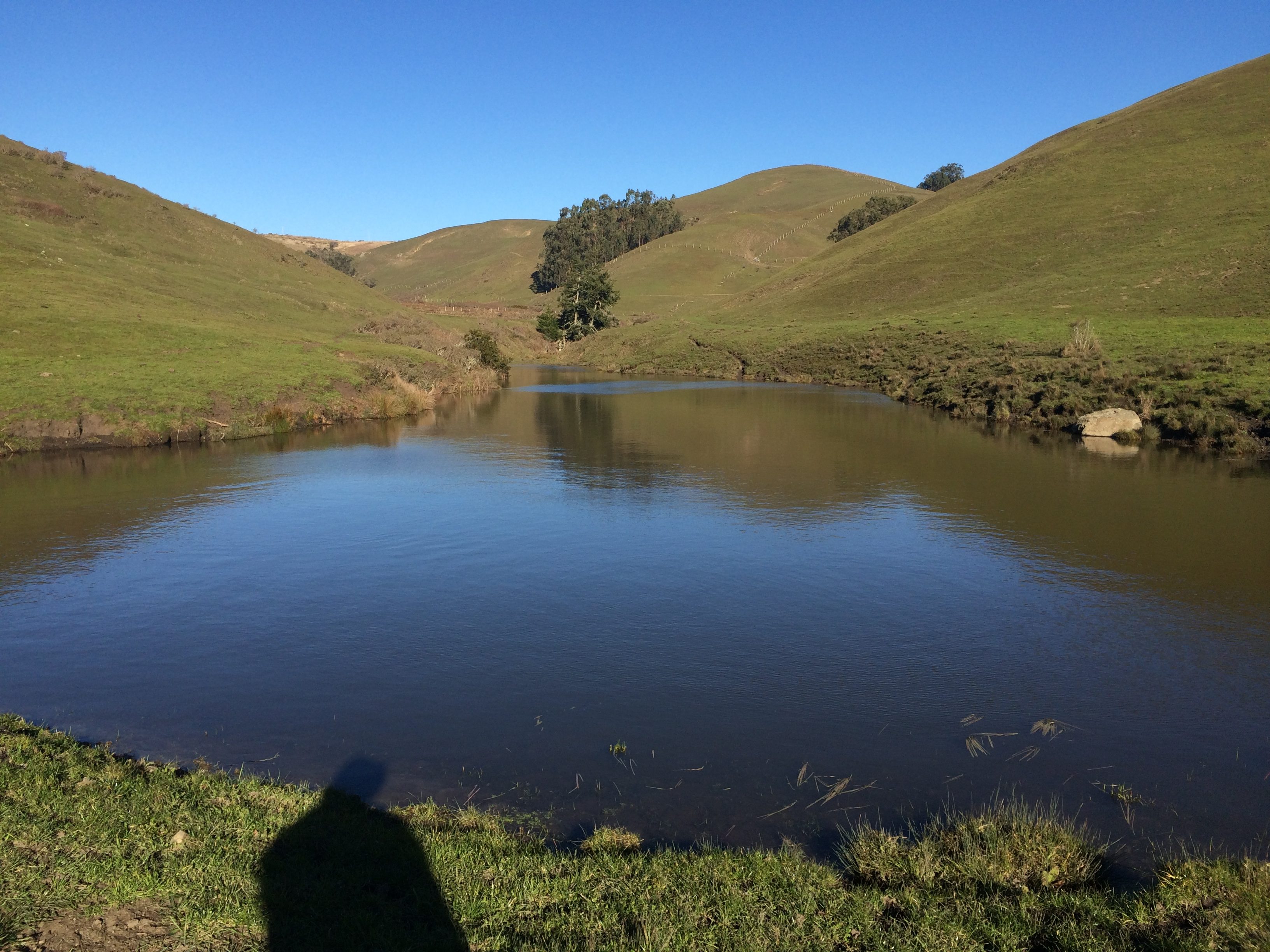 Sedimentation Ponds – Freestone Ranch