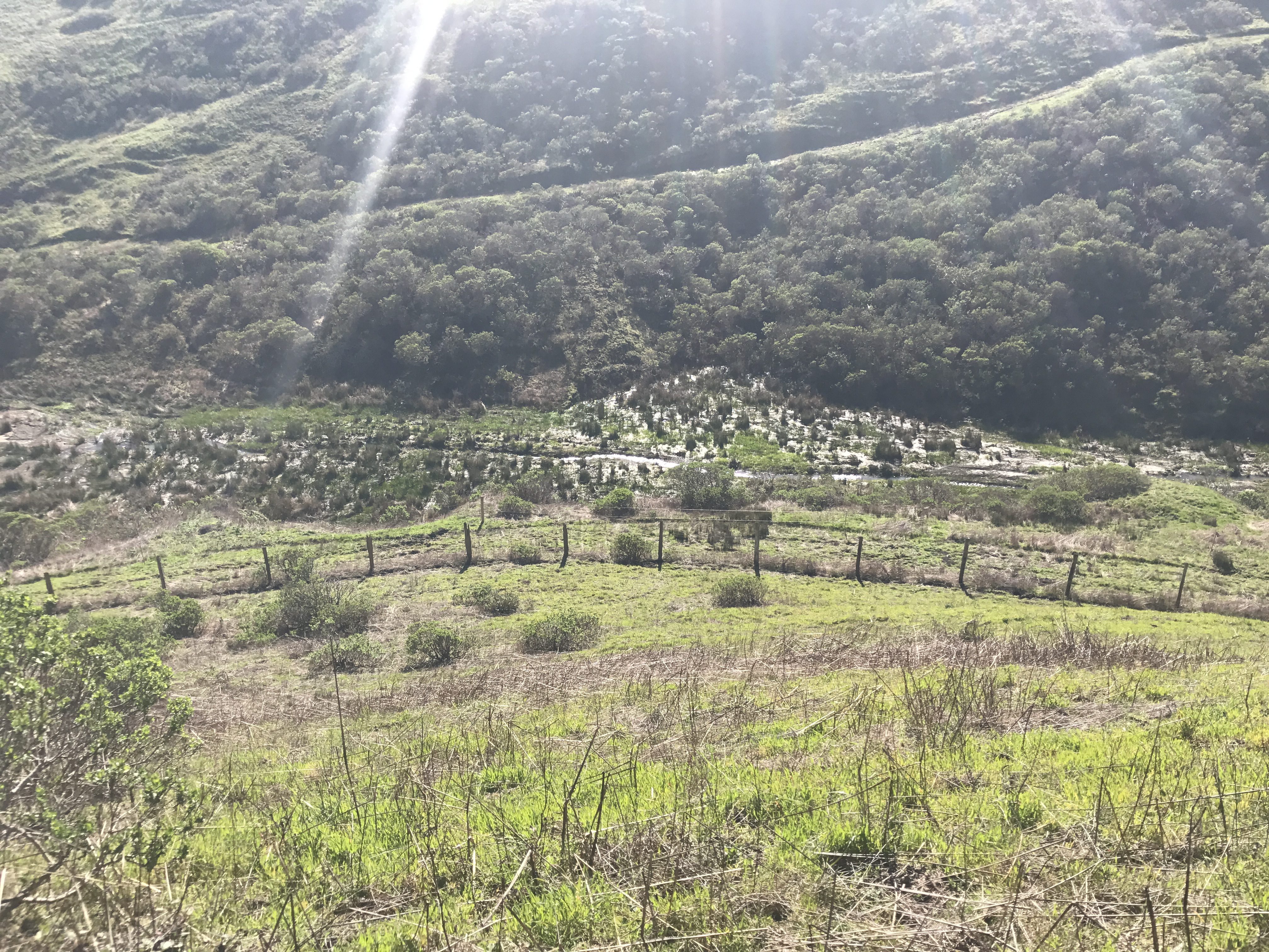 sedimentationpond – 2 (1) – Freestone Ranch