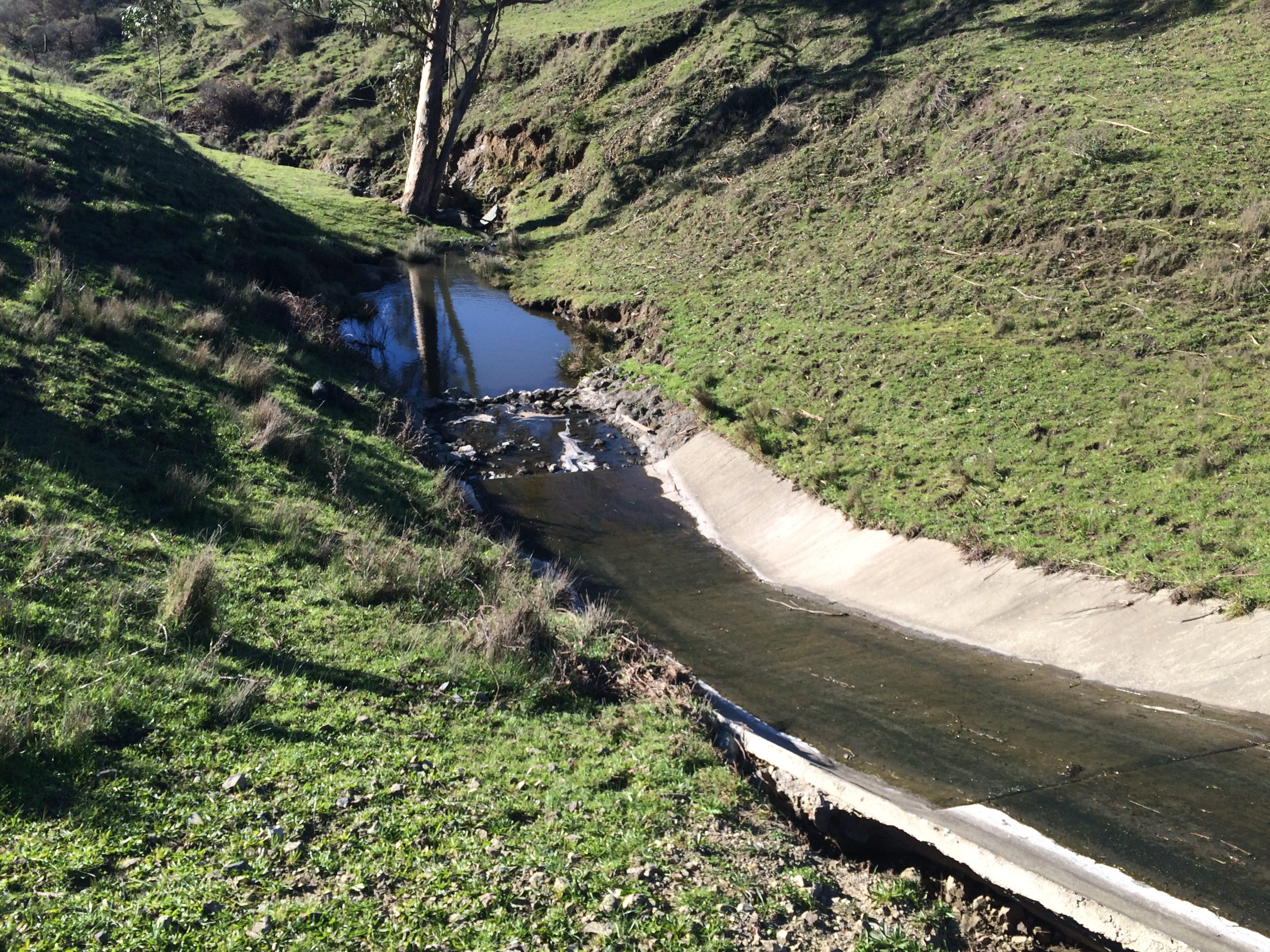 Sedimentation Ponds – Freestone Ranch