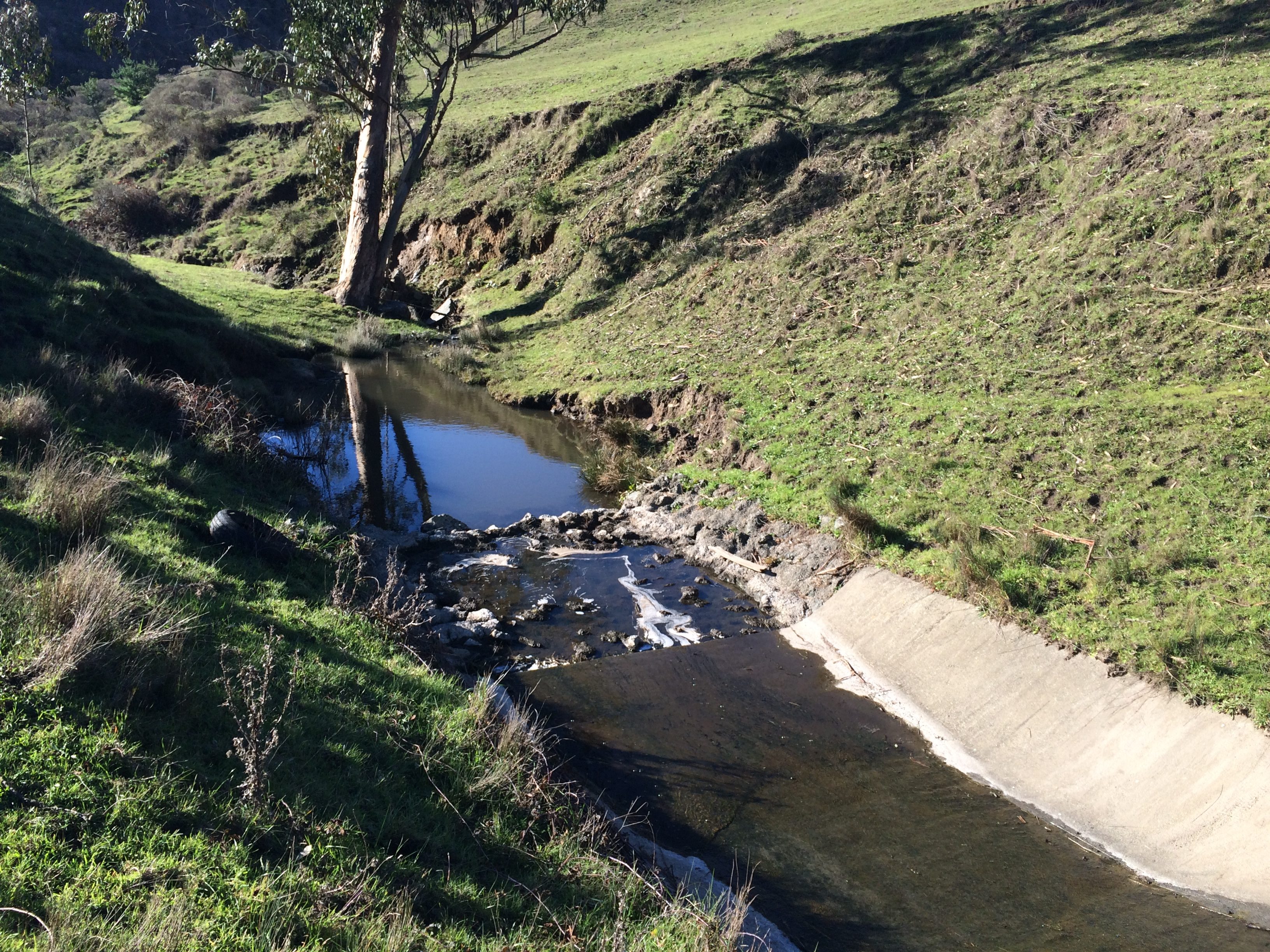 Sedimentation Ponds – Freestone Ranch