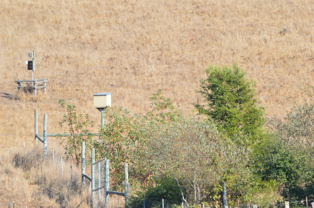 Freestone Ranch – Freestone Ranch