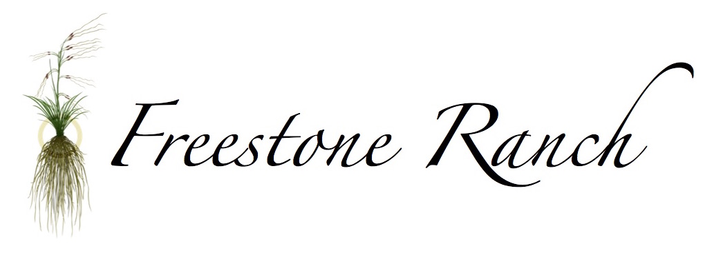 Freestone Ranch – Freestone Ranch